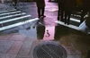 Joey Prince — UNRTD™