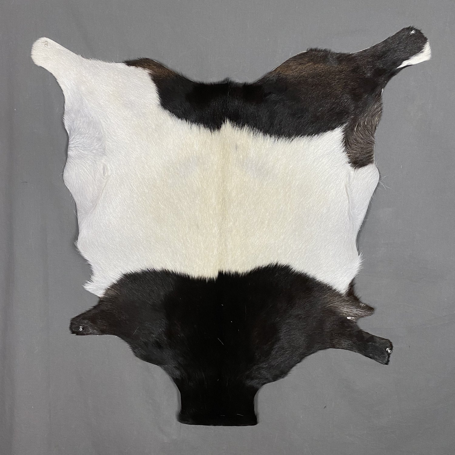 Goat Hides for Sale — Claw, Antler & Hide Co.