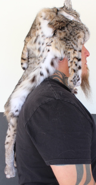 Bobcat Pelt