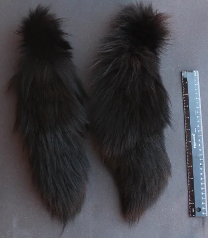 Wild Game Animal Tails for Sale — Claw, Antler & Hide Co.