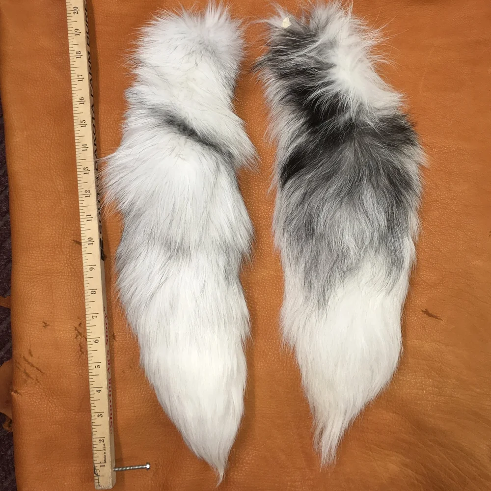 Canadian Marble Fox