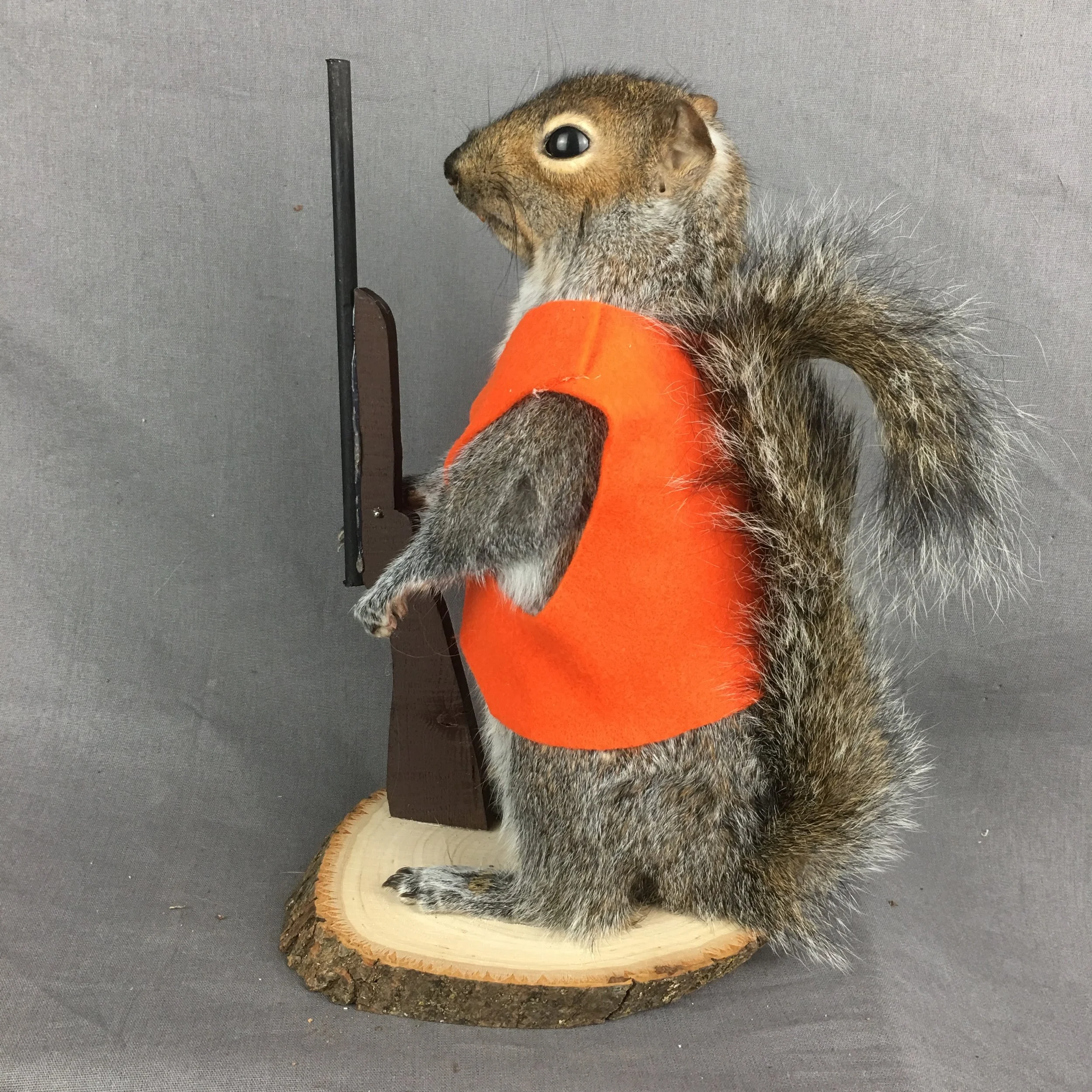 Squirrel Hunter Mount — Claw, Antler & Hide Co.