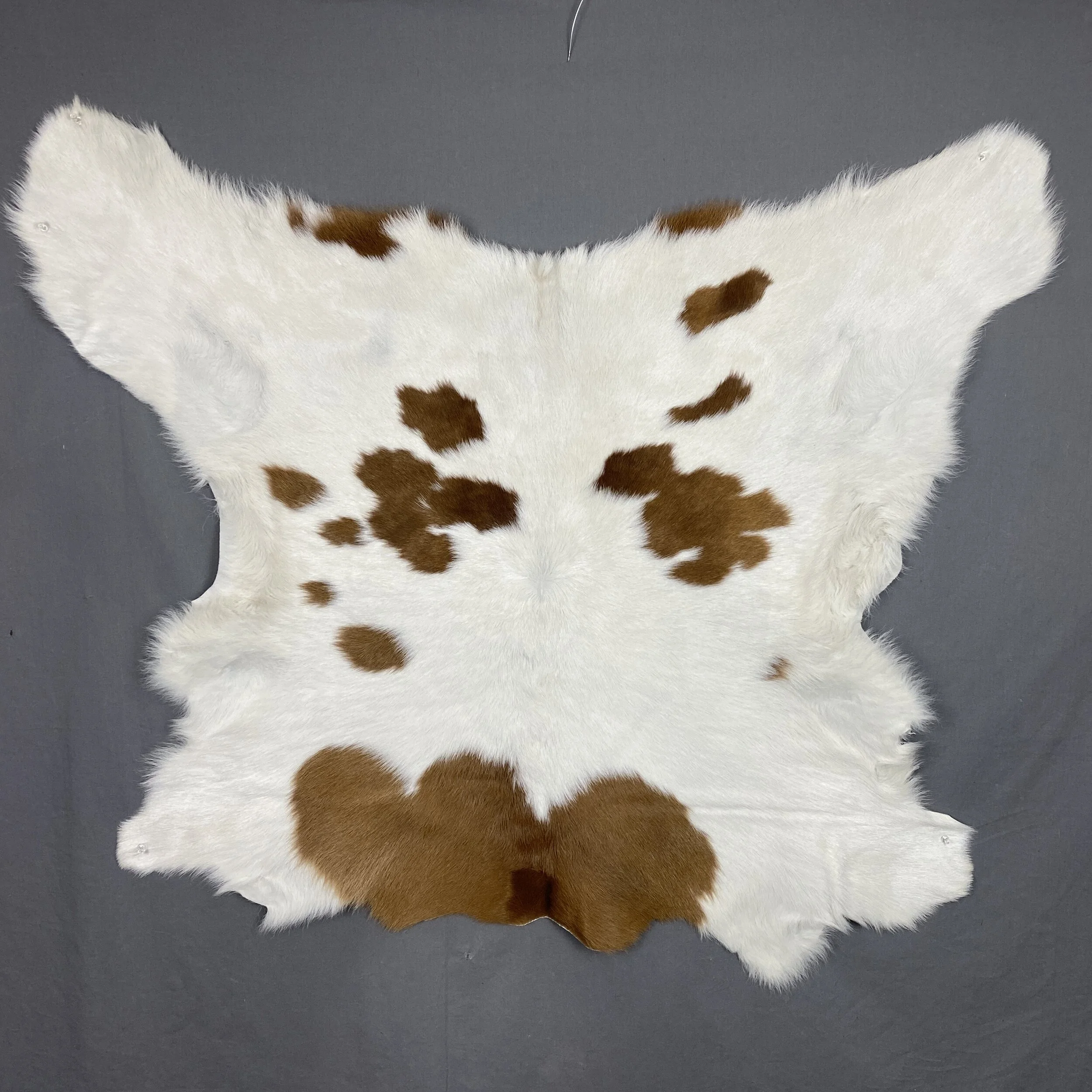 Calf Hides — Claw, Antler & Hide Co.