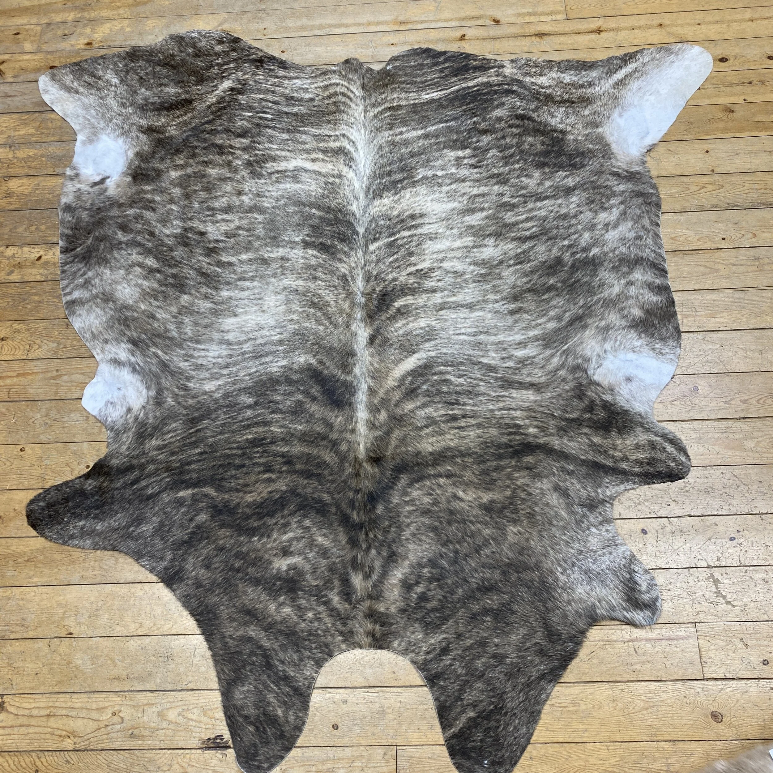 Cow Hides — Claw, Antler & Hide Co.
