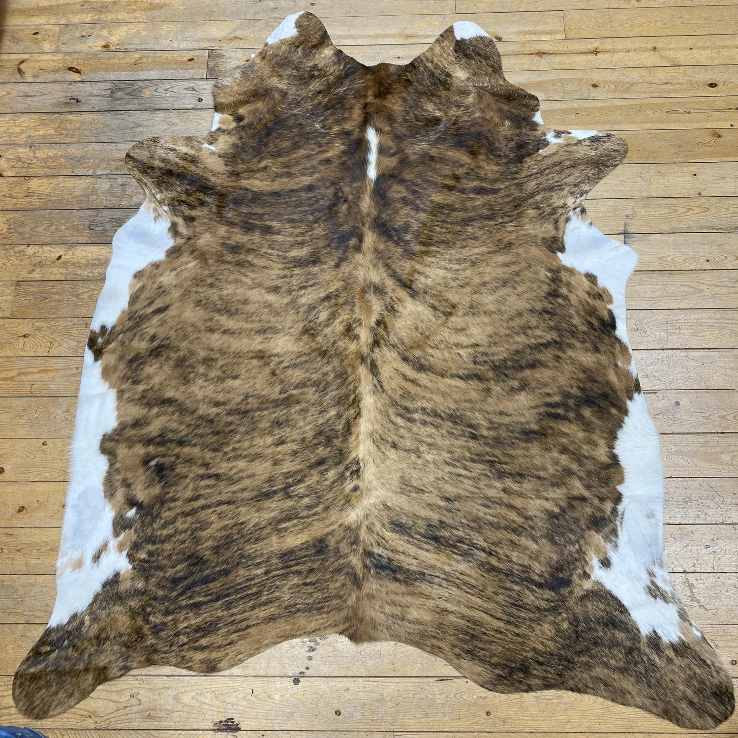 Cow Hides — Claw, Antler & Hide Co.