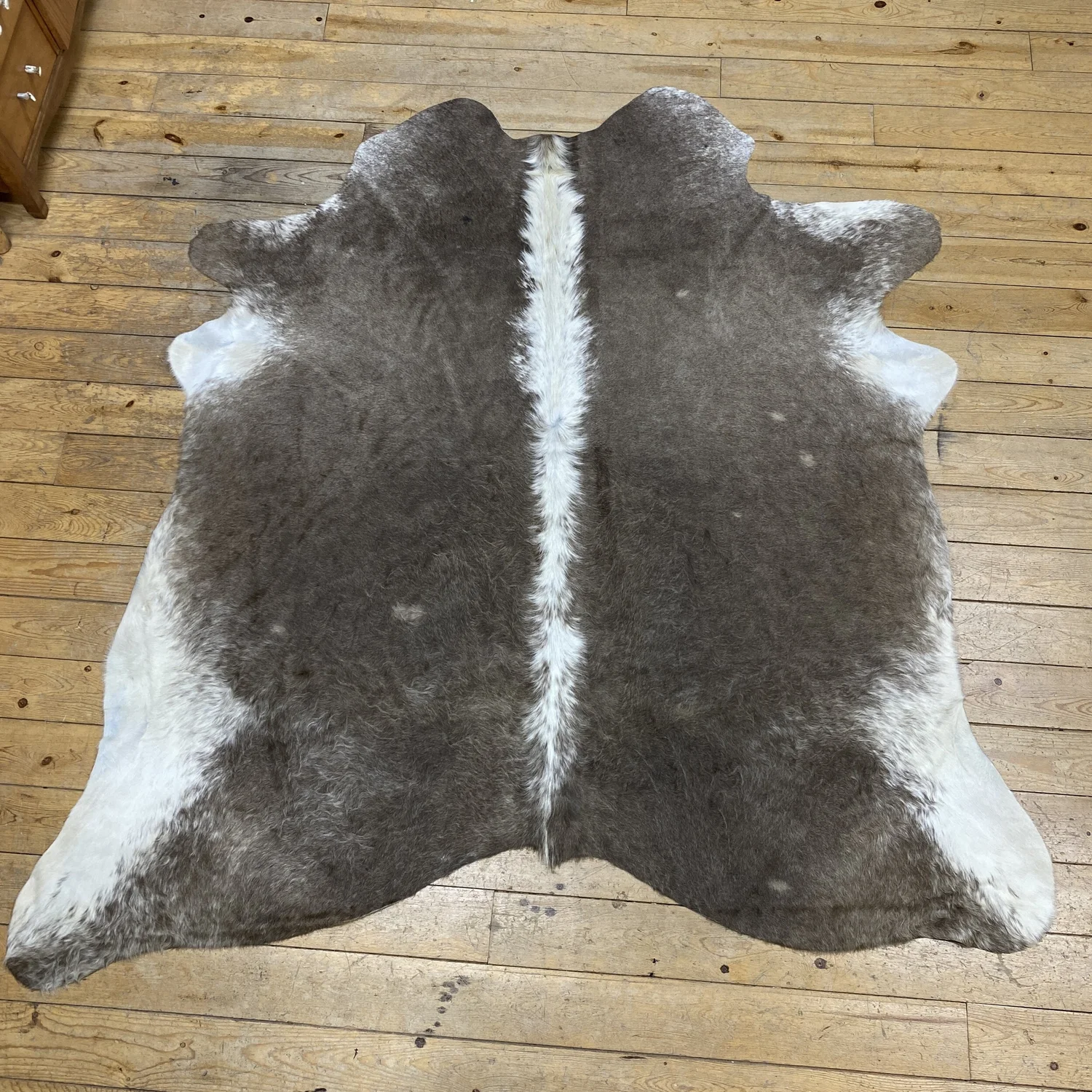Cow Hides — Claw, Antler & Hide Co.