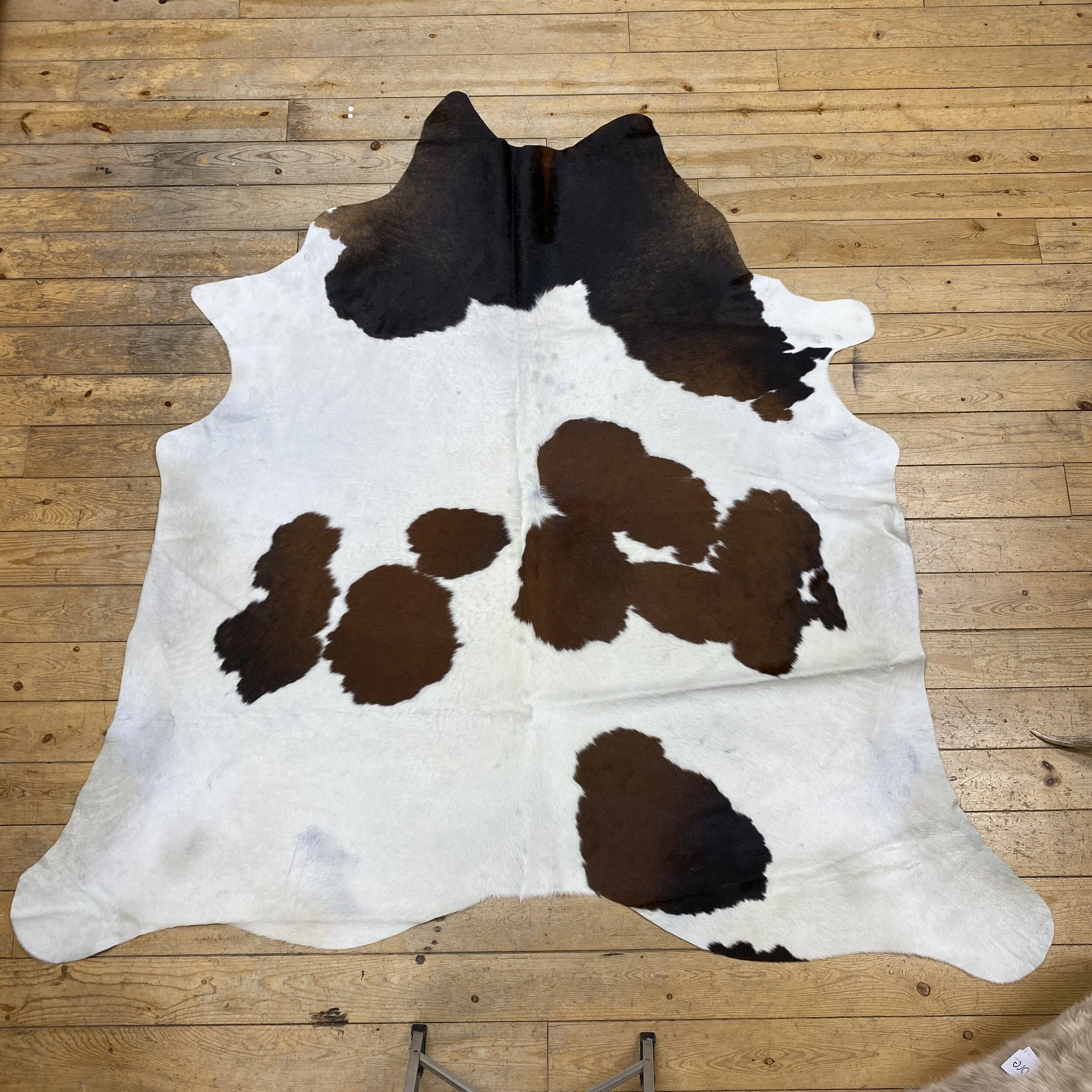 Cow Hides — Claw, Antler & Hide Co.