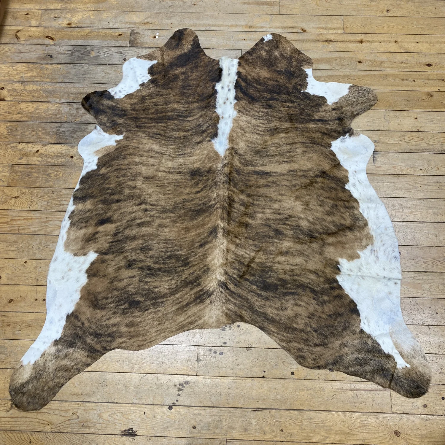 Cow Hides — Claw, Antler & Hide Co.