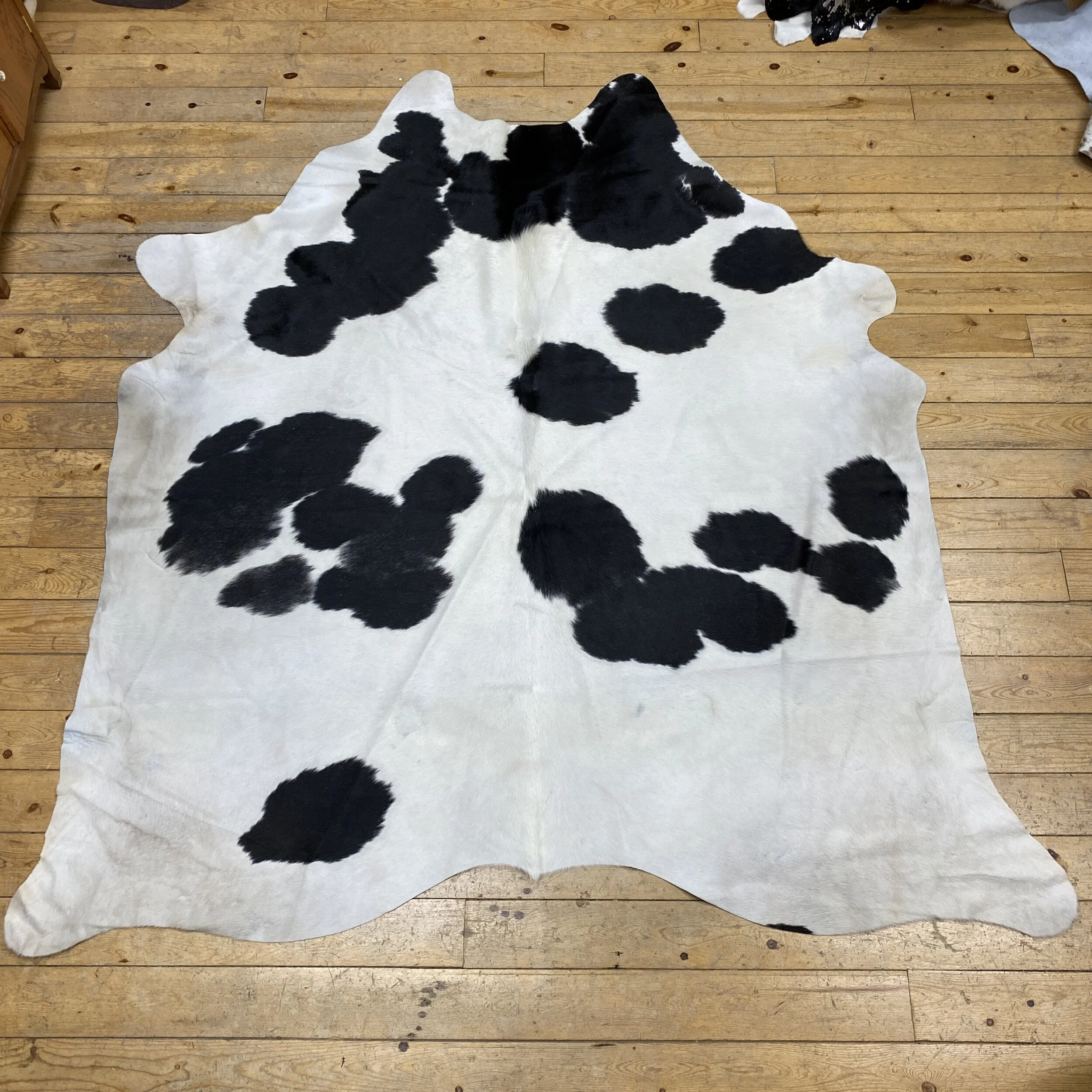 Cow Hides — Claw, Antler & Hide Co.