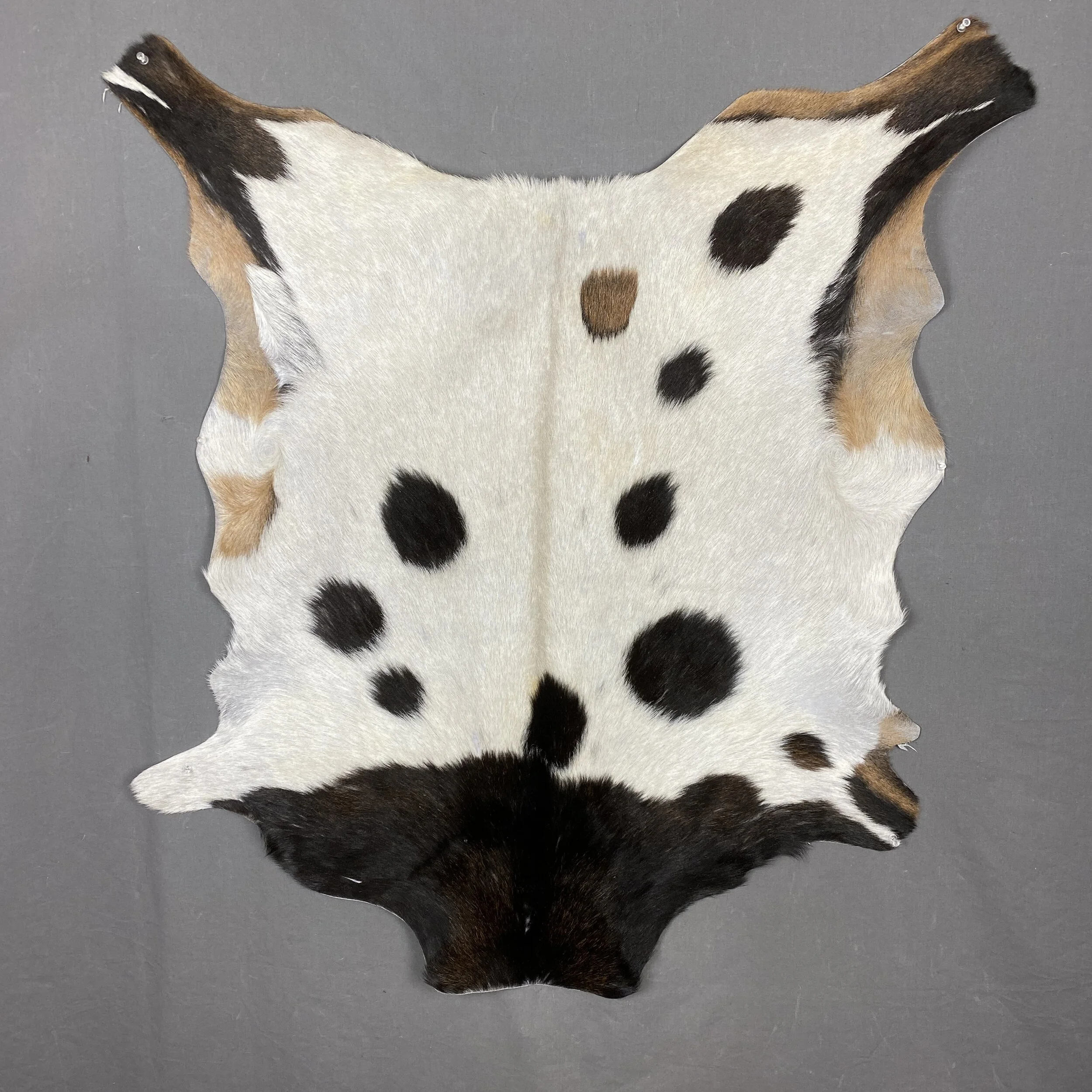 Rugs — Claw, Antler & Hide Co.