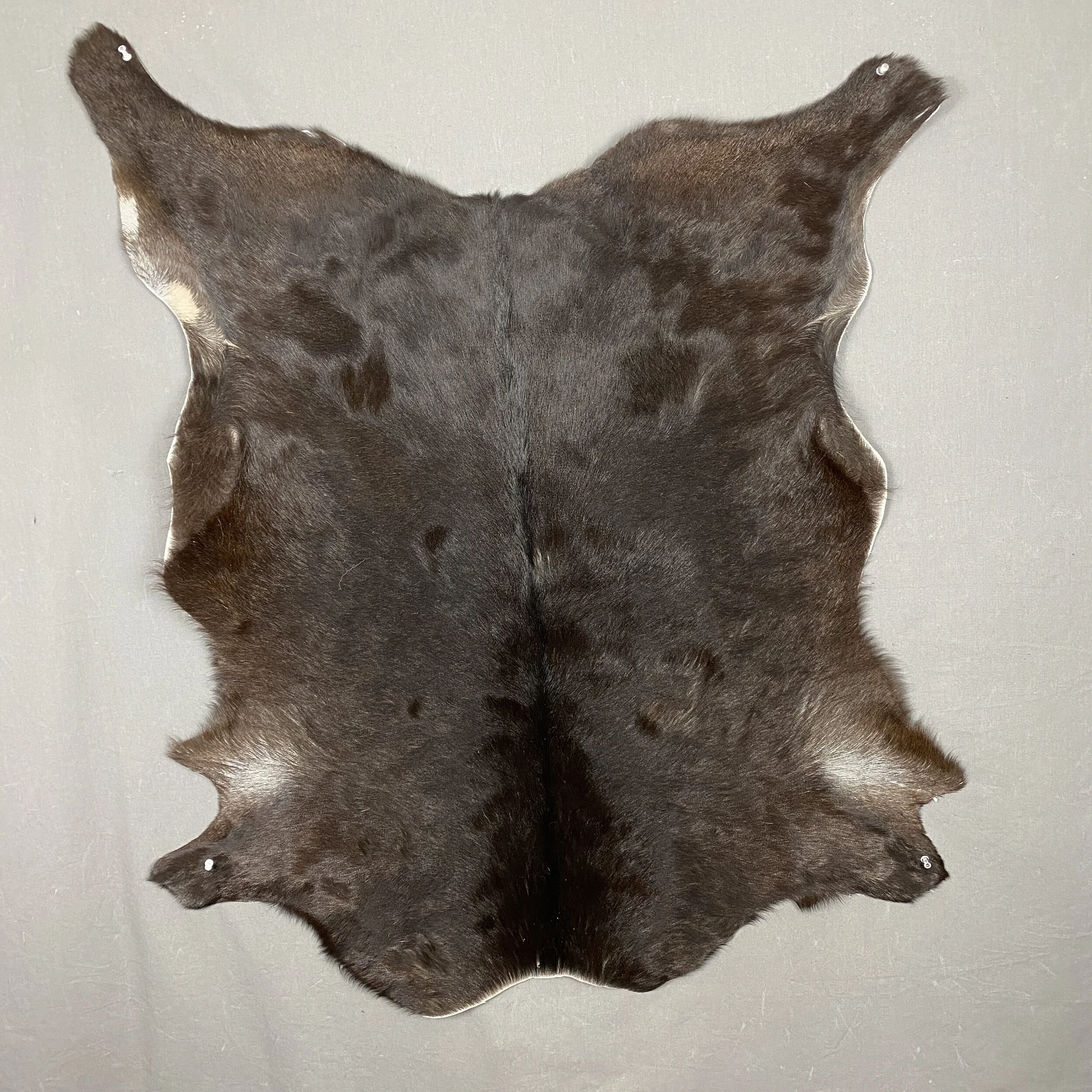 Goat Hides for Sale — Claw, Antler & Hide Co.