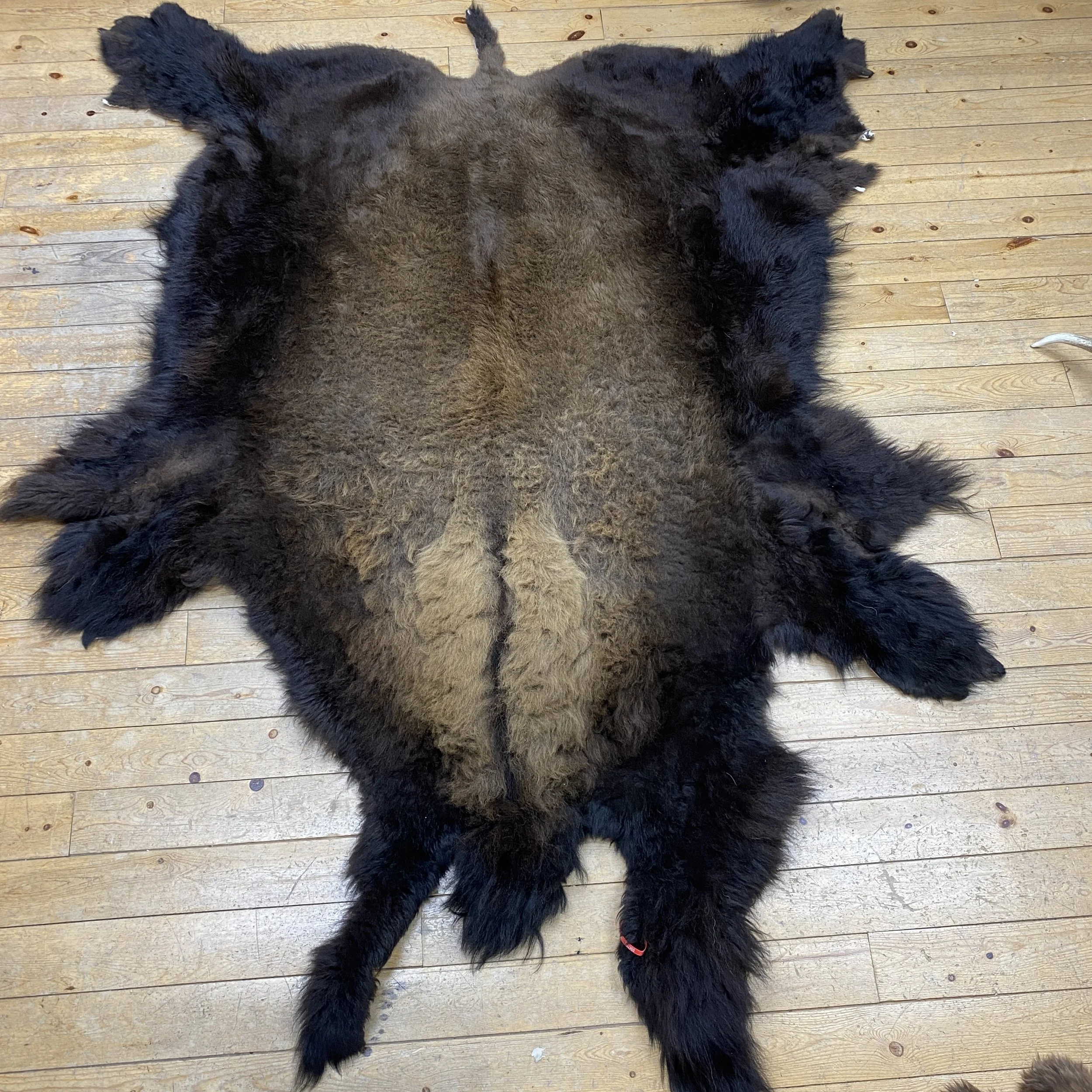 Buffalo Hides — Claw, Antler & Hide Co.