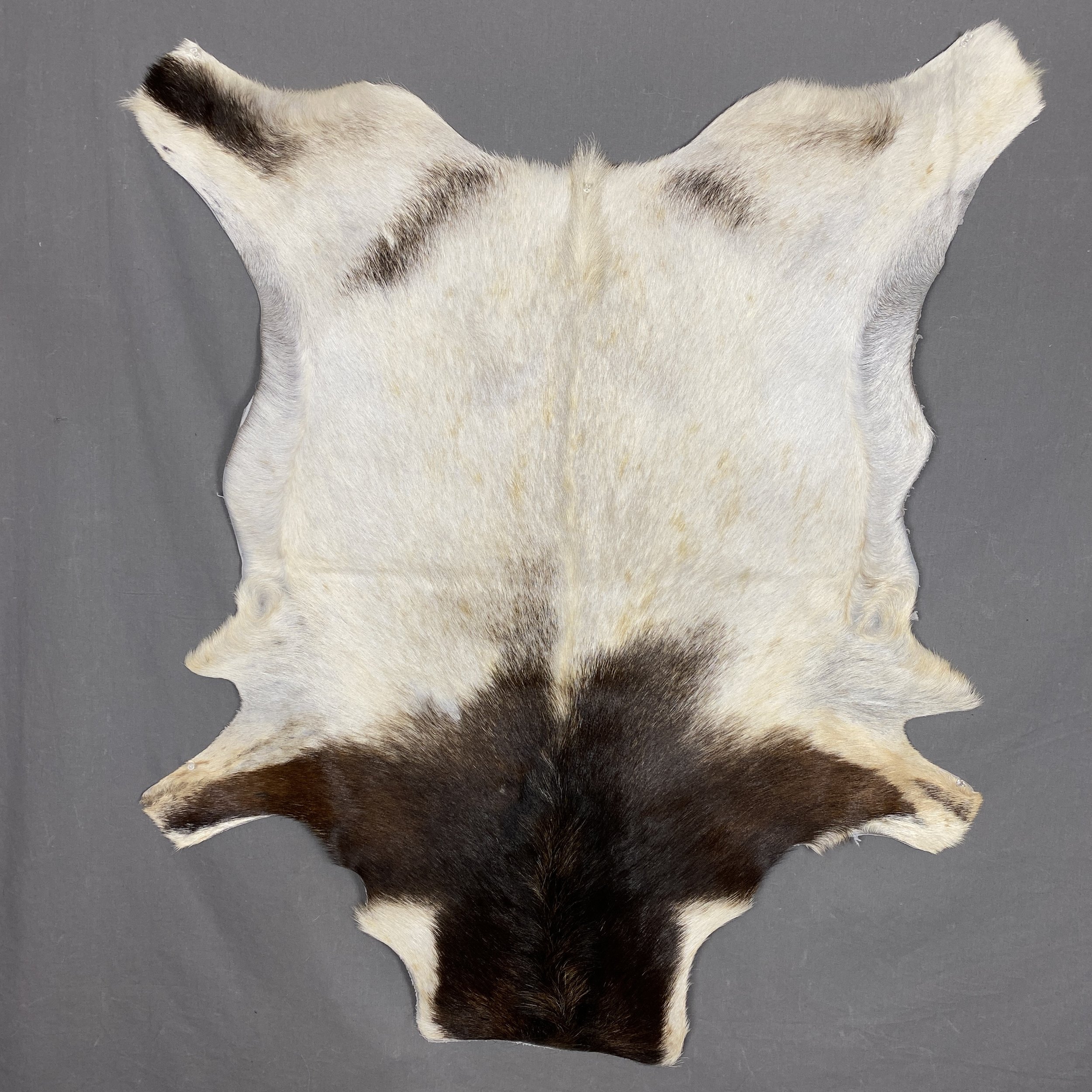Goat Hides for Sale — Claw, Antler & Hide Co.