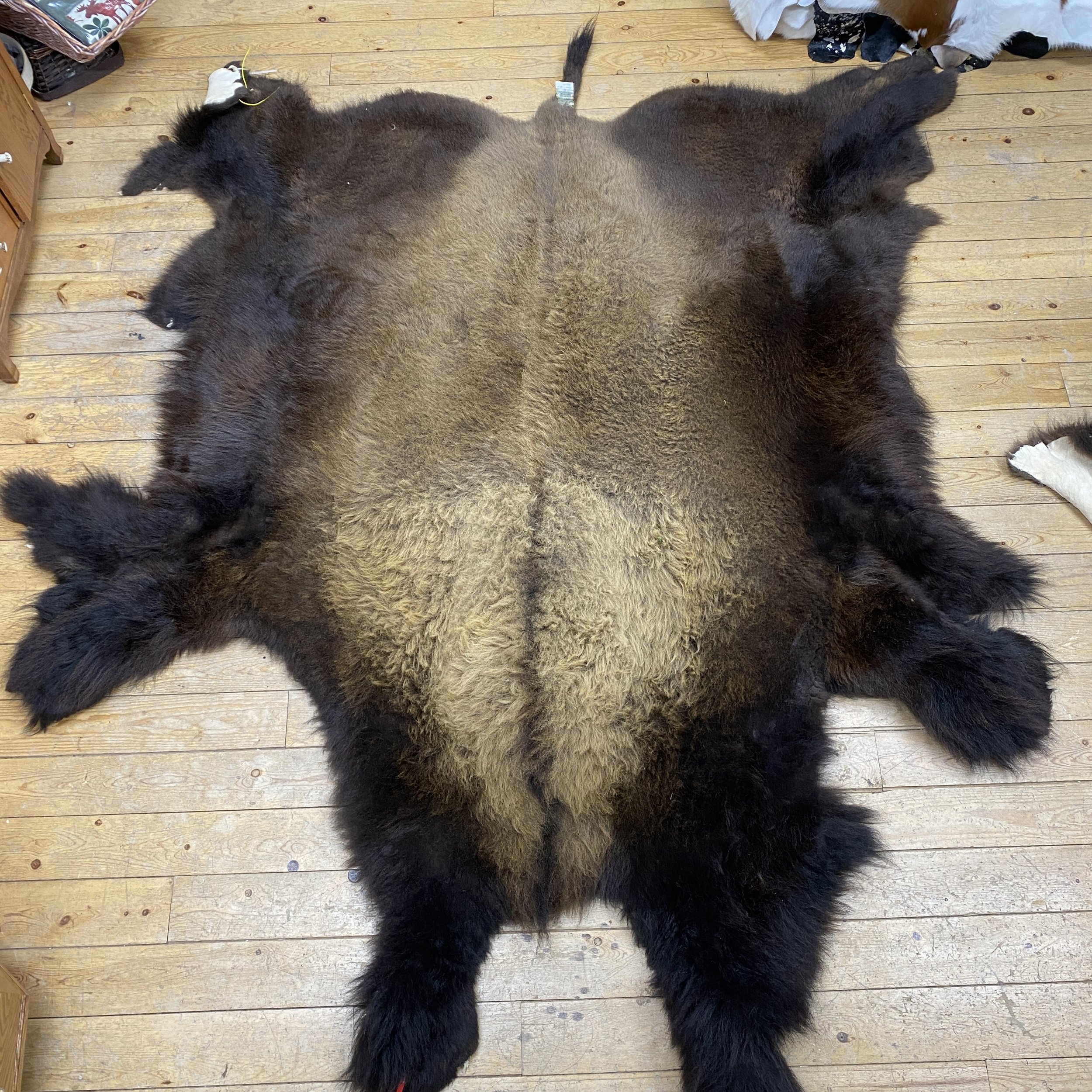 Buffalo Hides — Claw, Antler & Hide Co.