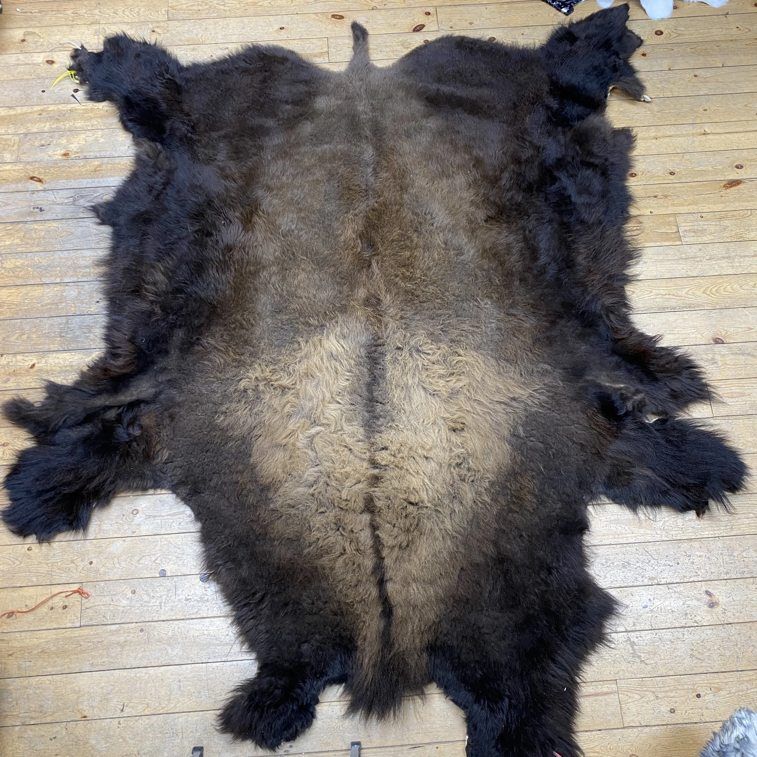 Buffalo Hides — Claw, Antler & Hide Co.