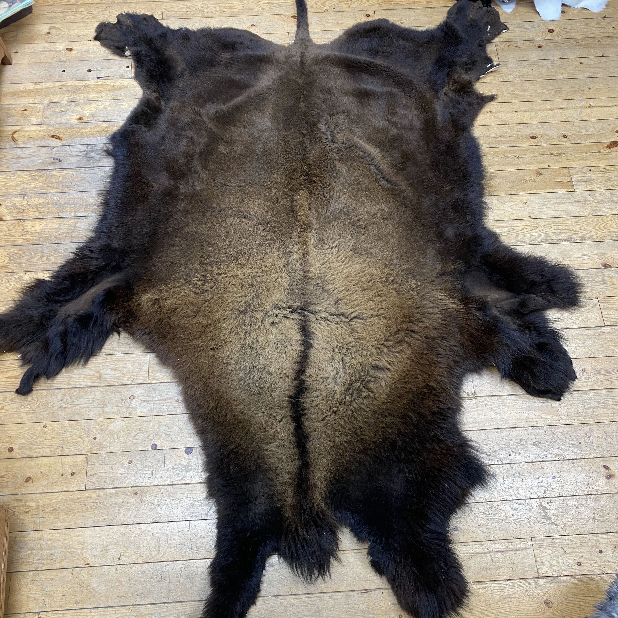 Furs for Sale — Claw, Antler & Hide Co.