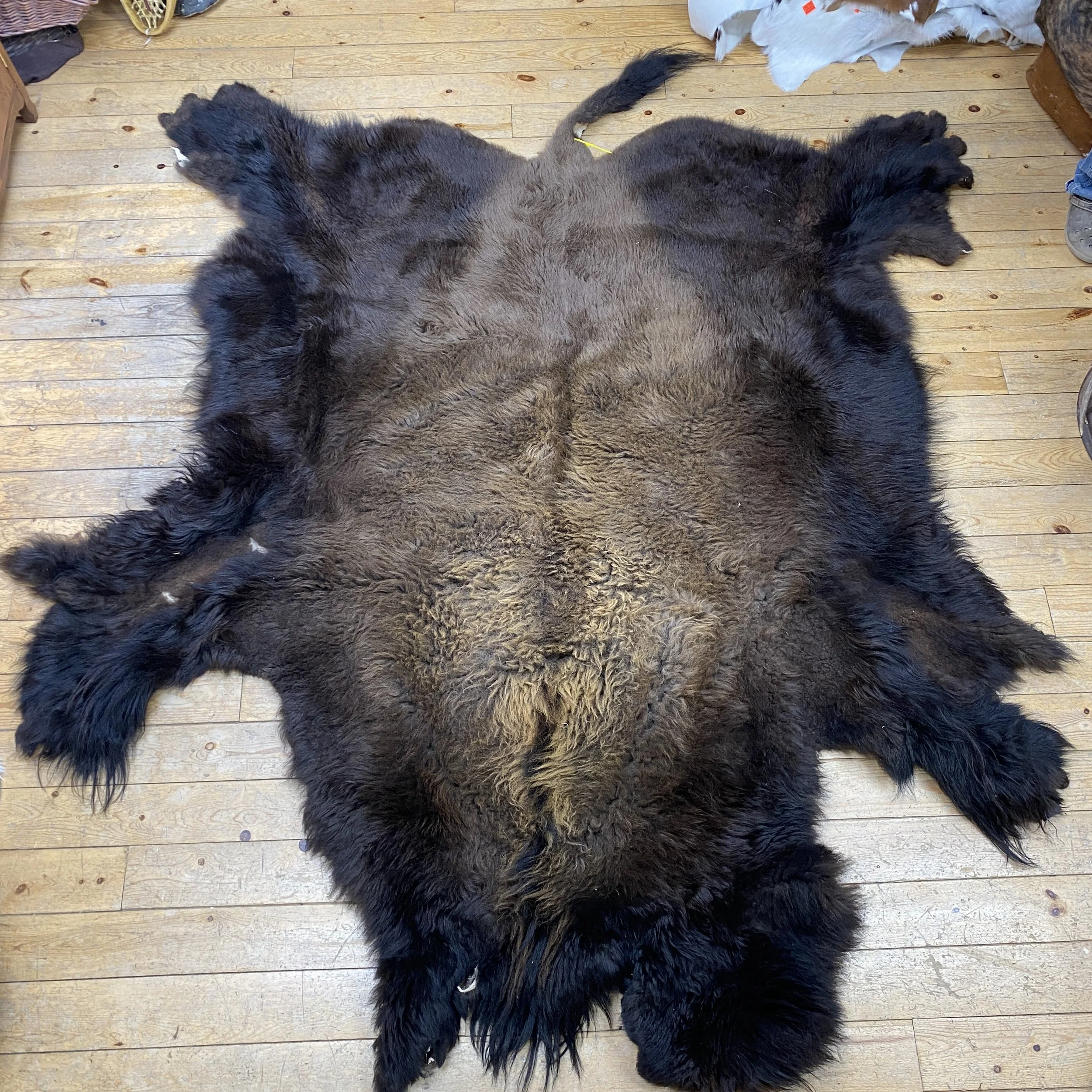 Buffalo Hides — Claw, Antler & Hide Co.