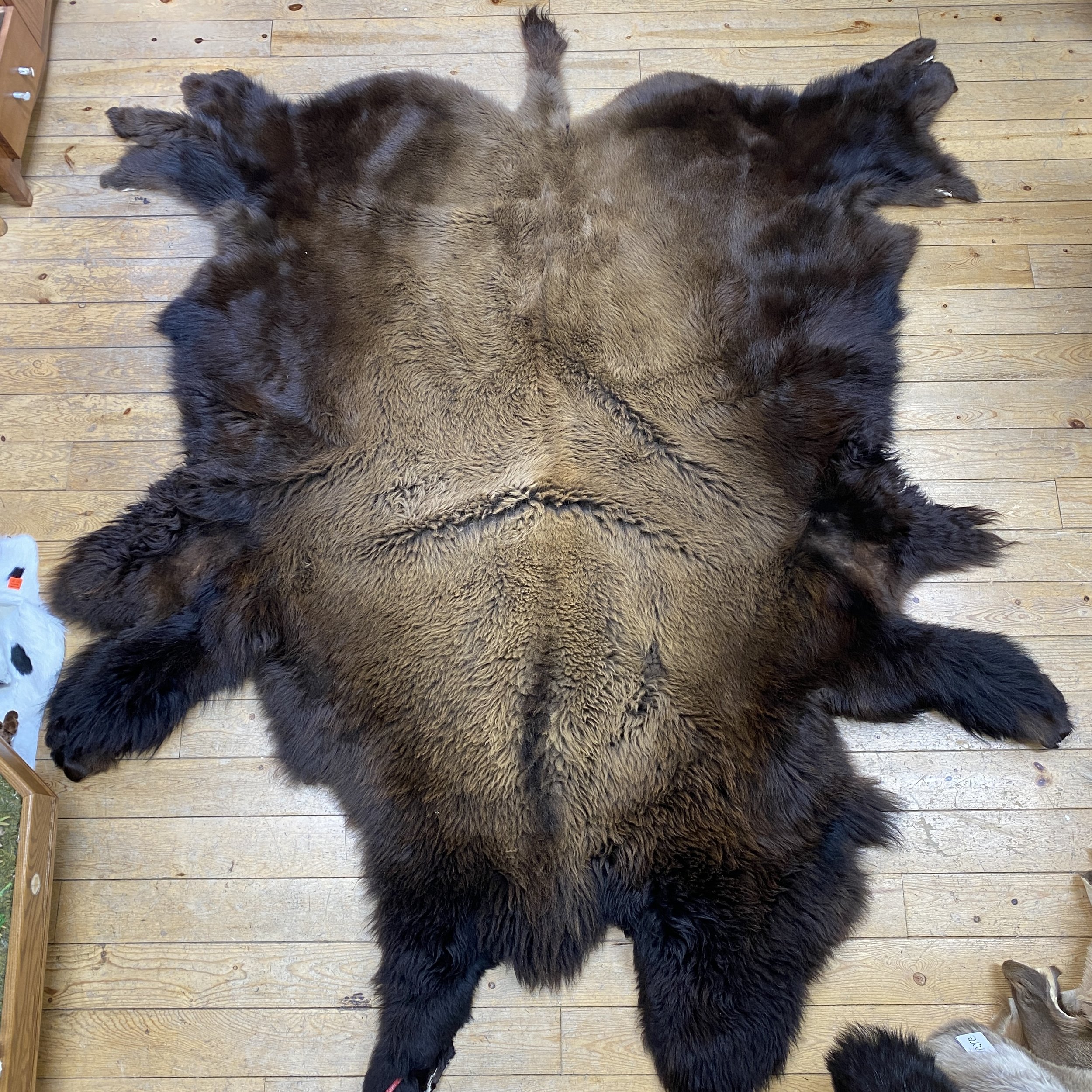 Buffalo Hides — Claw, Antler & Hide Co.