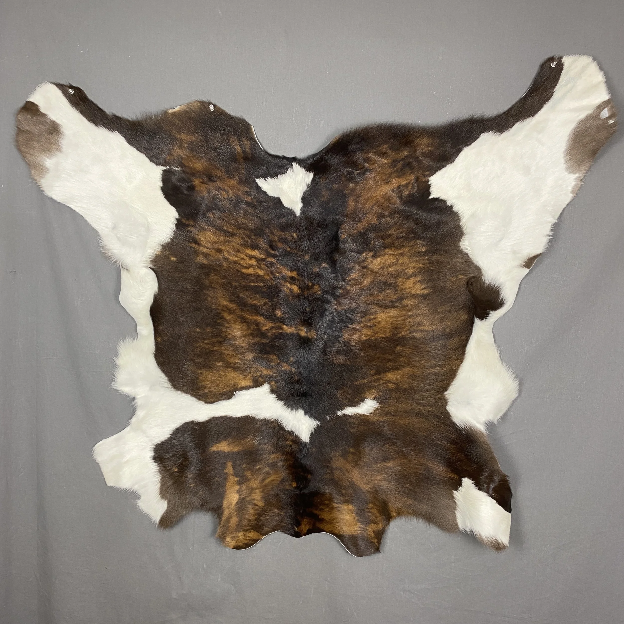 Calf Hides — Claw, Antler & Hide Co.