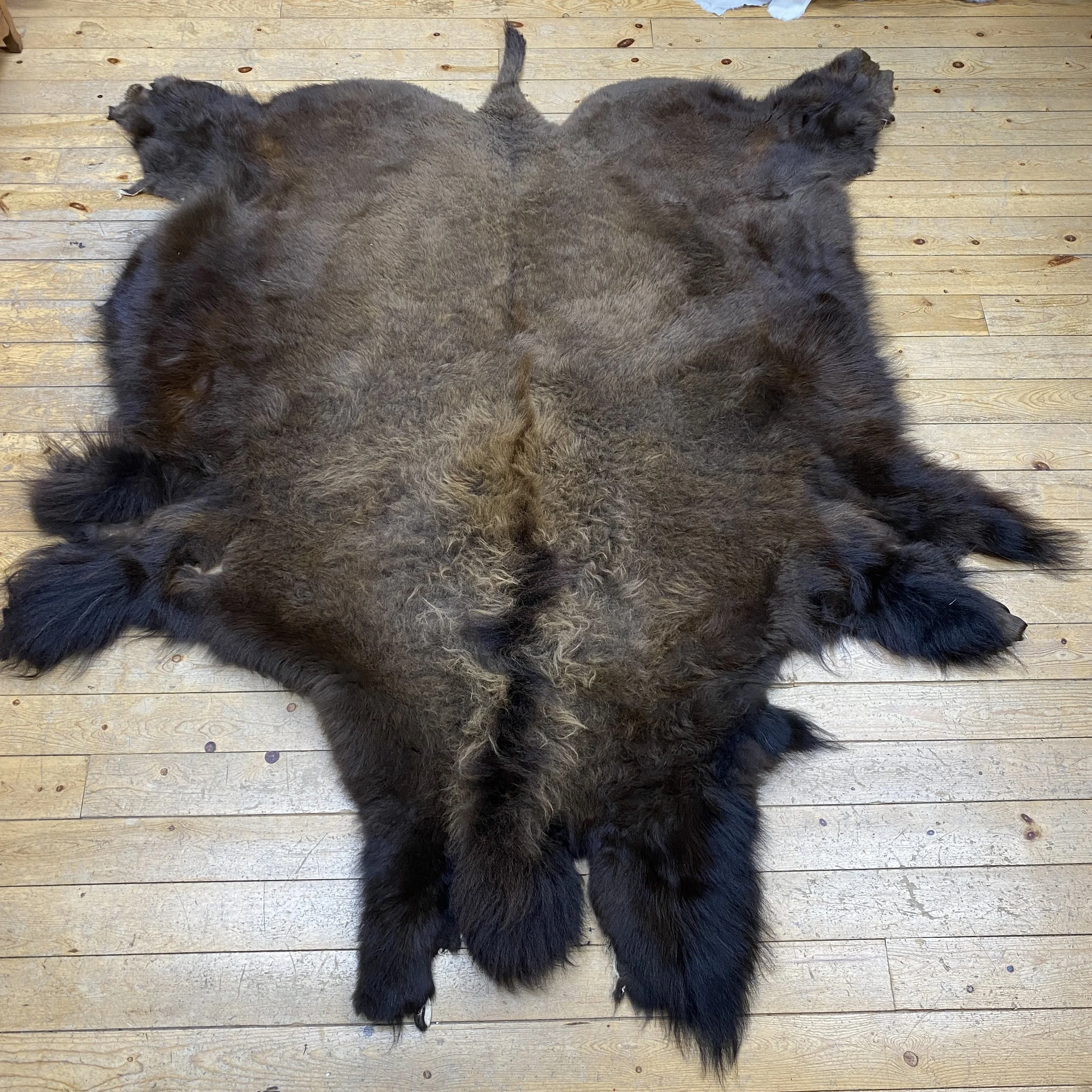 Buffalo Hides — Claw, Antler & Hide Co.