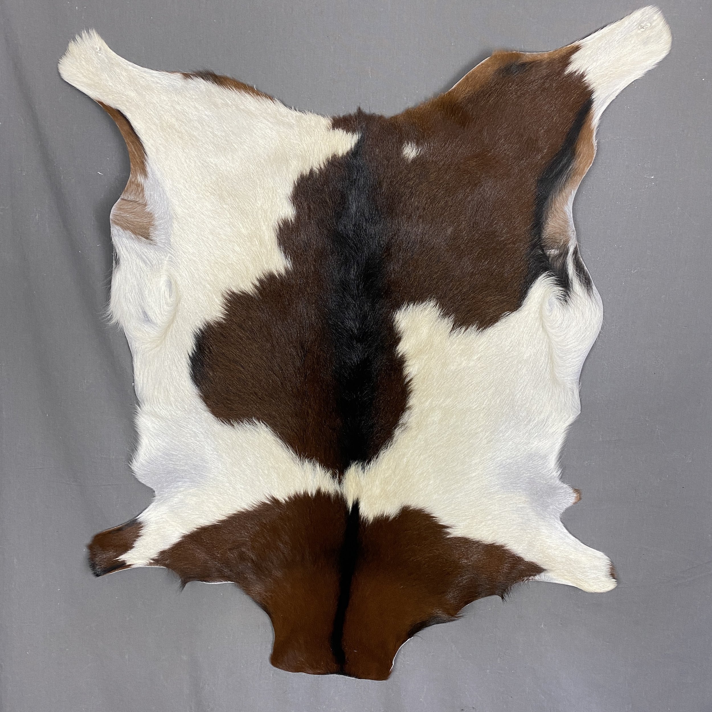 Goat Hides for Sale — Claw, Antler & Hide Co.