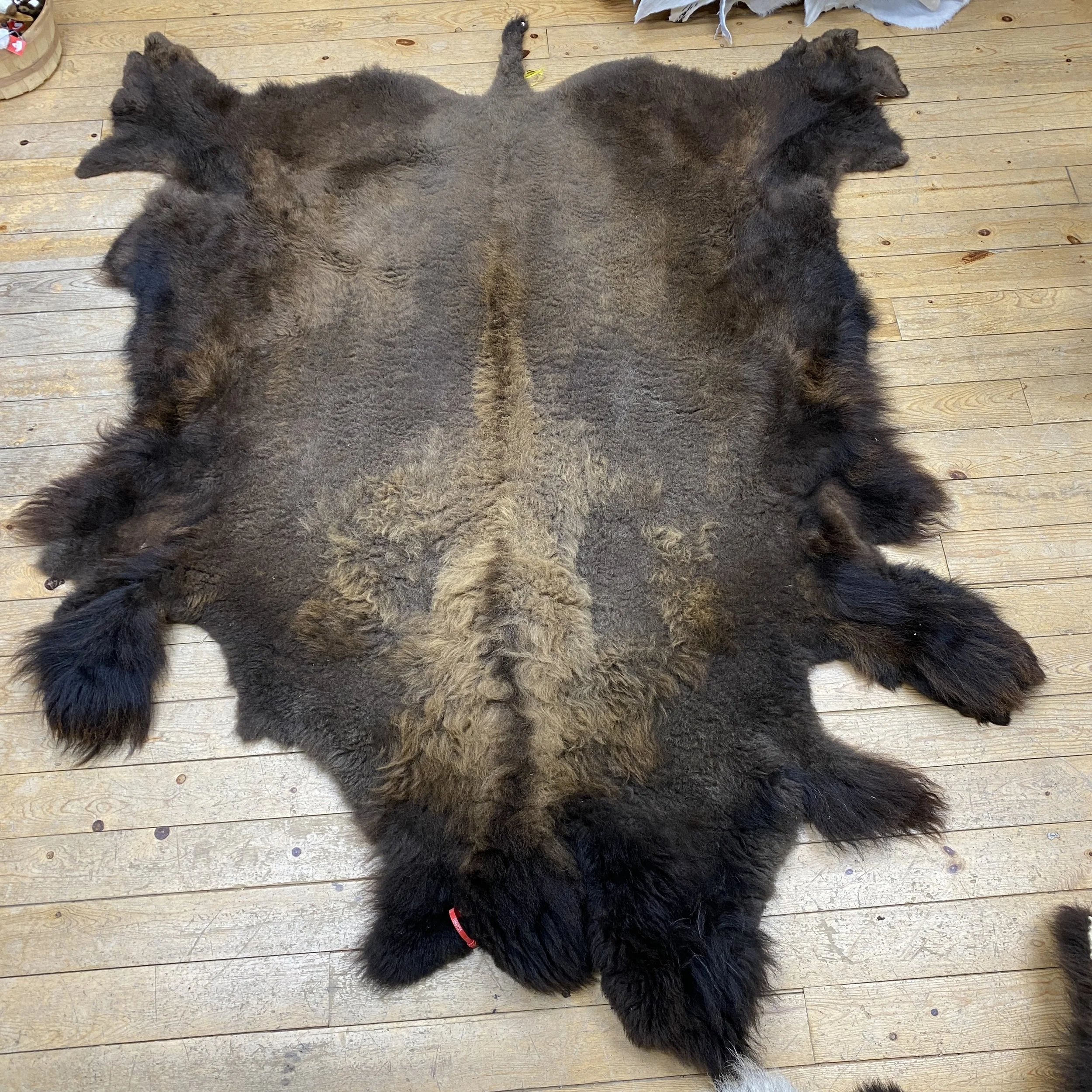 Buffalo Hides — Claw, Antler & Hide Co.