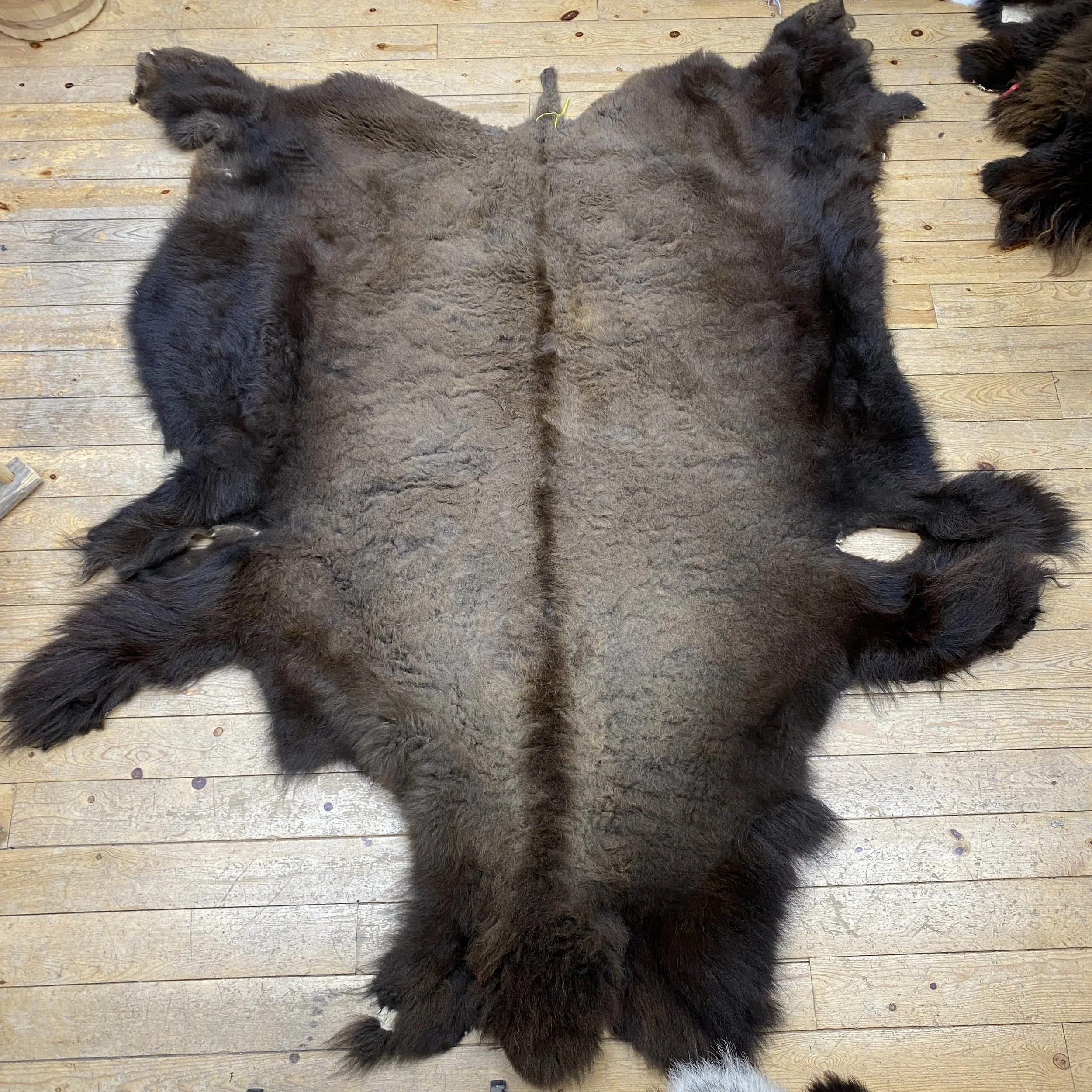 Buffalo Hides — Claw, Antler & Hide Co.