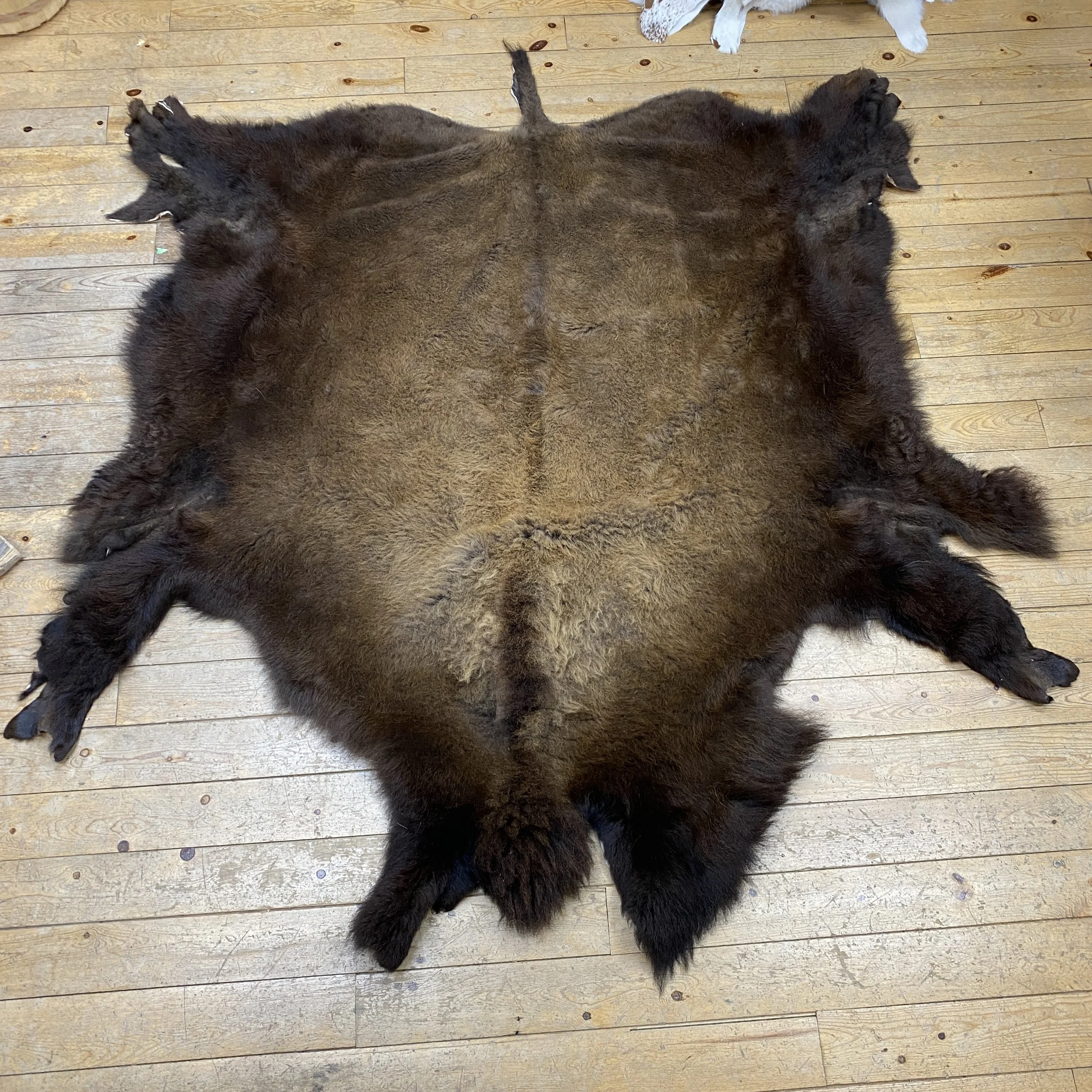 Buffalo Hides — Claw, Antler & Hide Co.