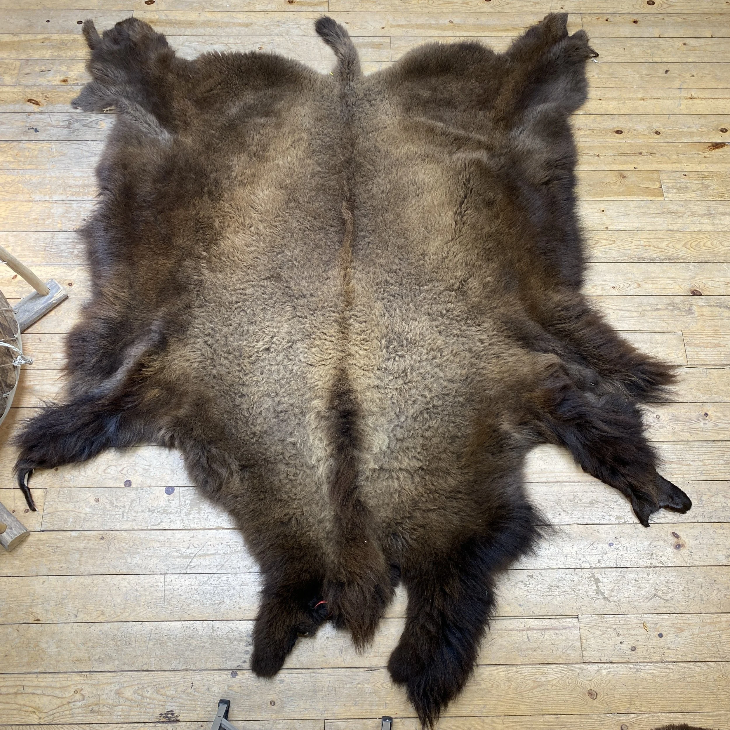 Buffalo Hides — Claw, Antler & Hide Co.