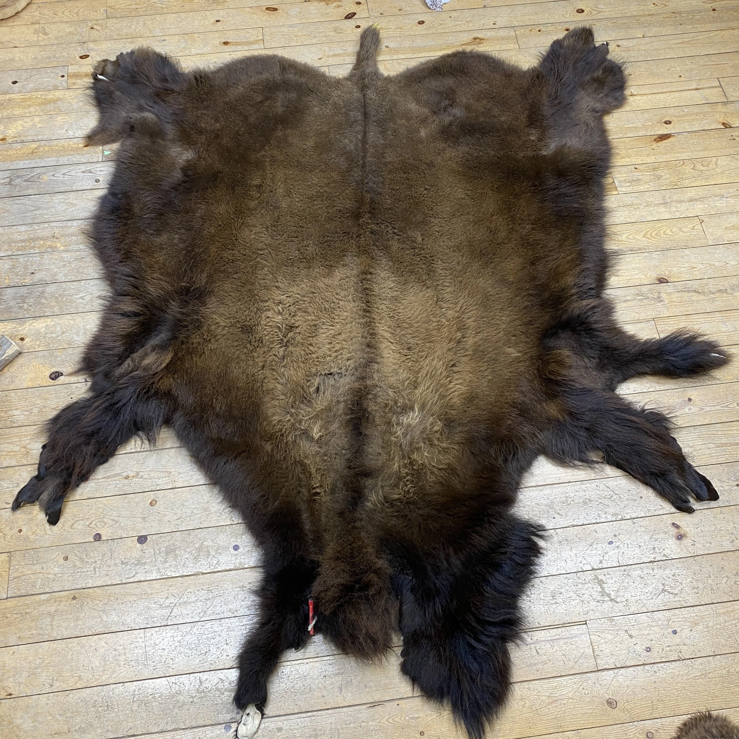 Buffalo Hides — Claw, Antler & Hide Co.