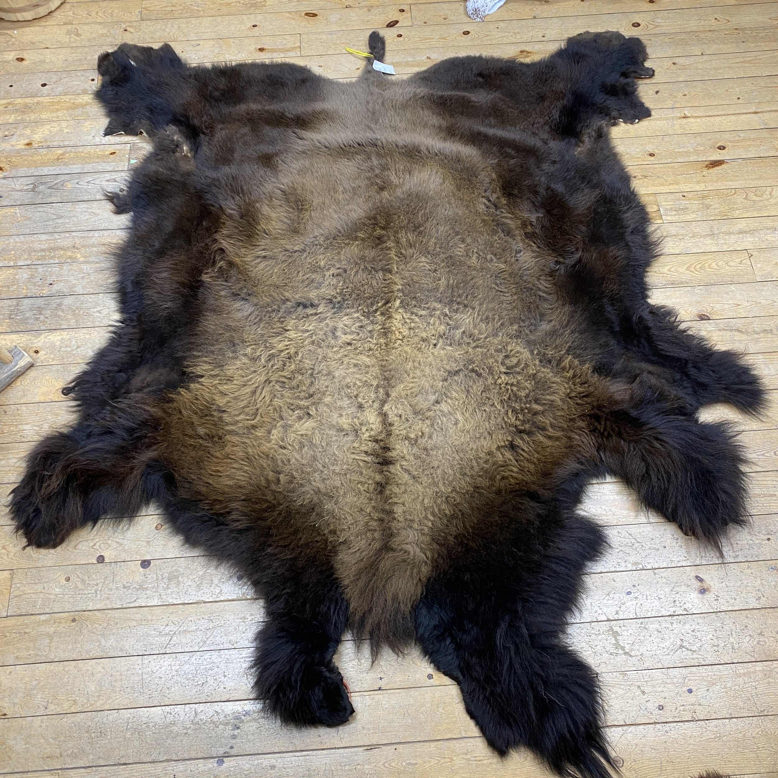 Buffalo Hides — Claw, Antler & Hide Co.