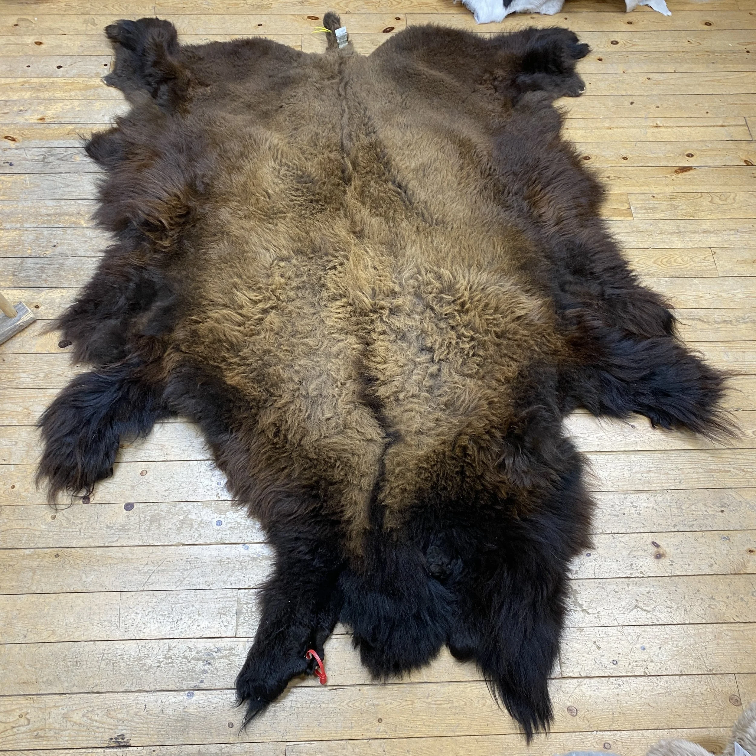 Buffalo Hides — Claw, Antler & Hide Co.