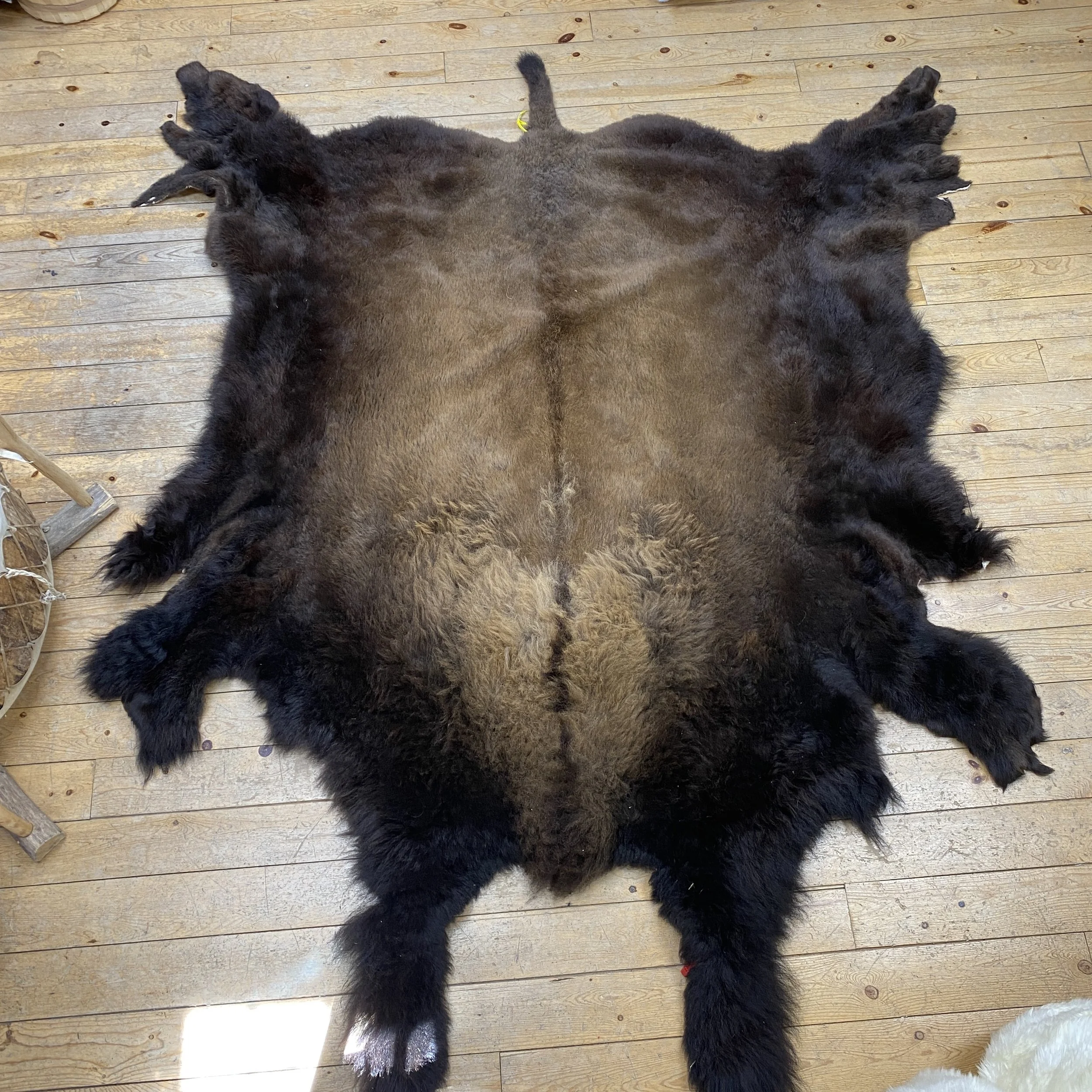 Buffalo Hides — Claw, Antler & Hide Co.