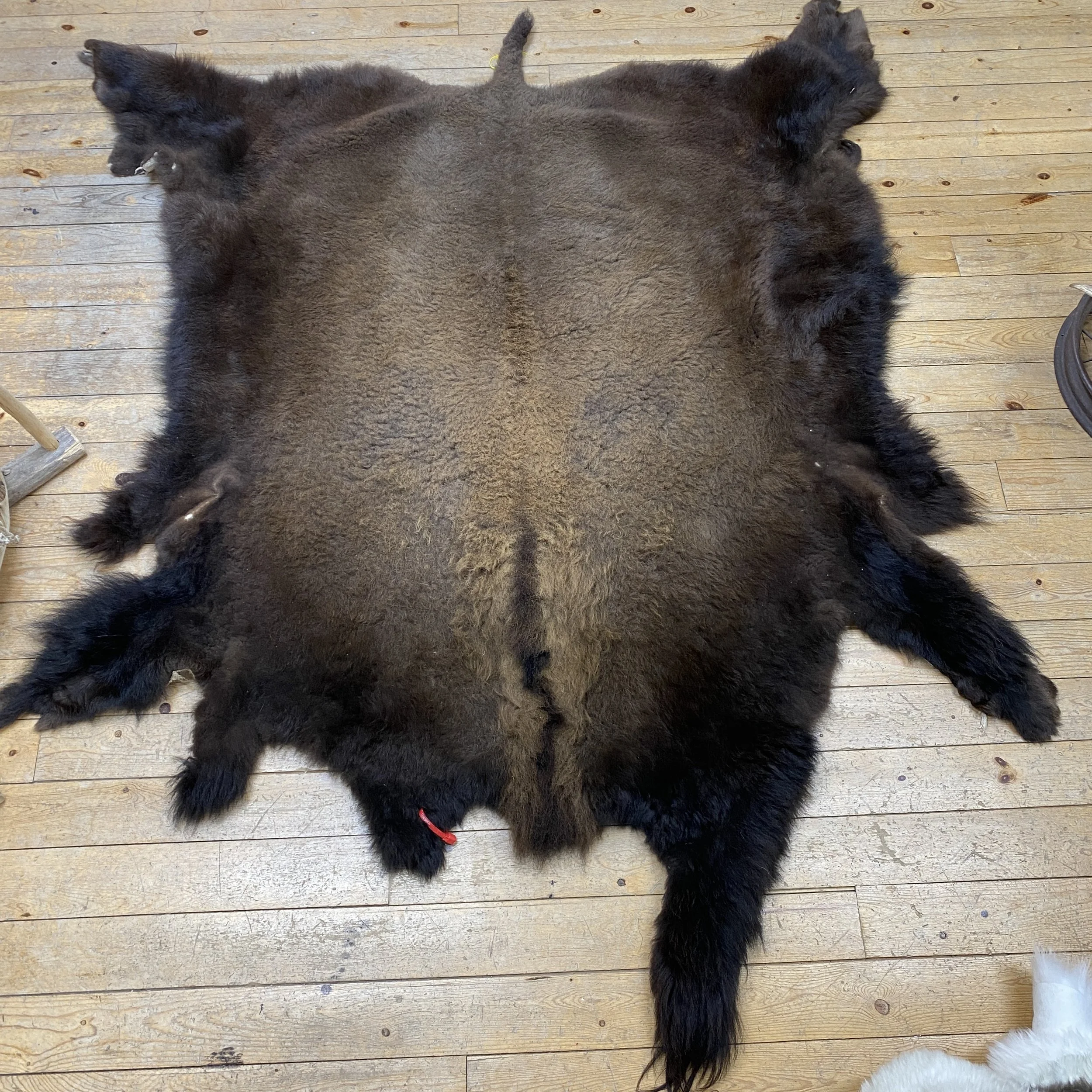 Buffalo Hides — Claw, Antler & Hide Co.