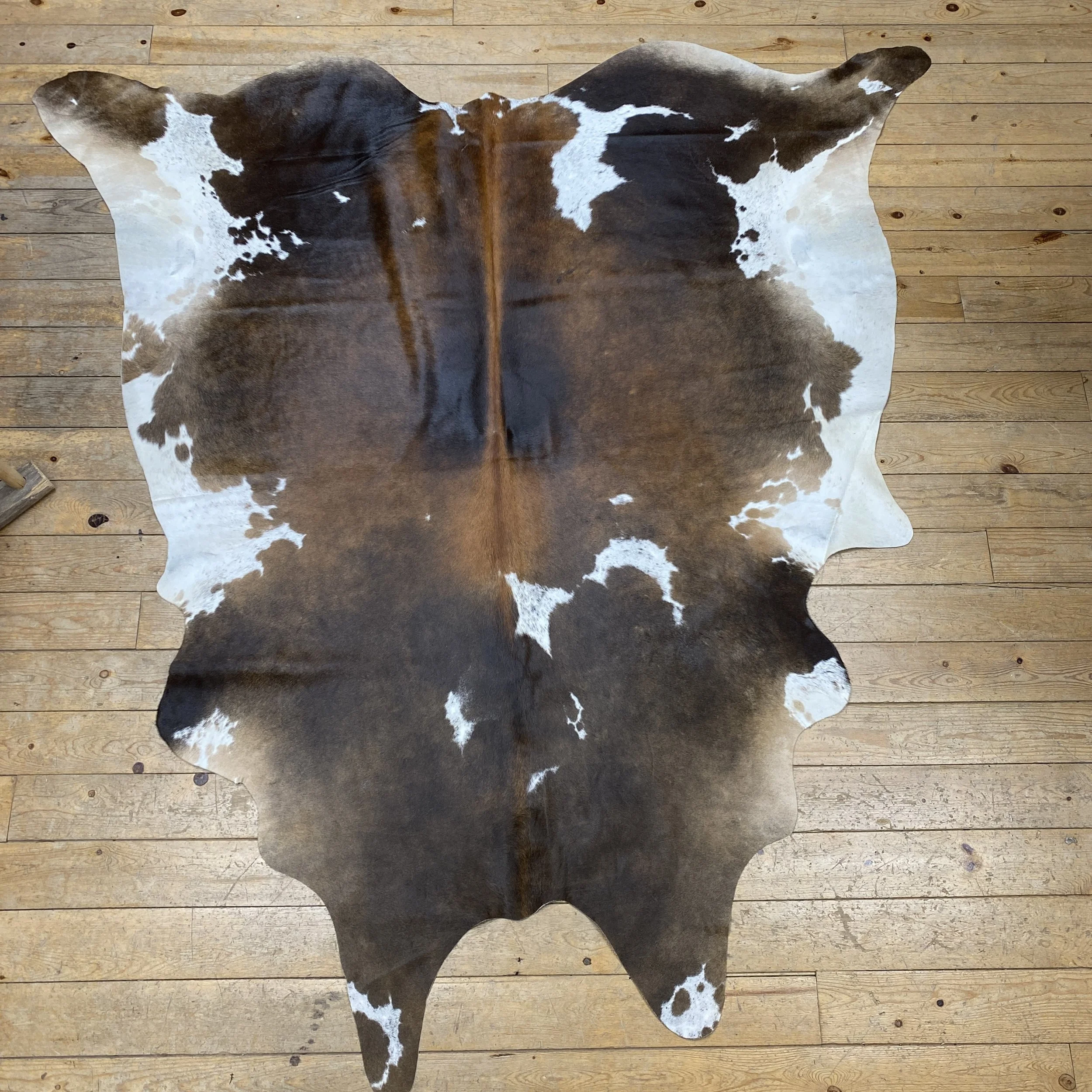 Cow Hides — Claw, Antler & Hide Co.