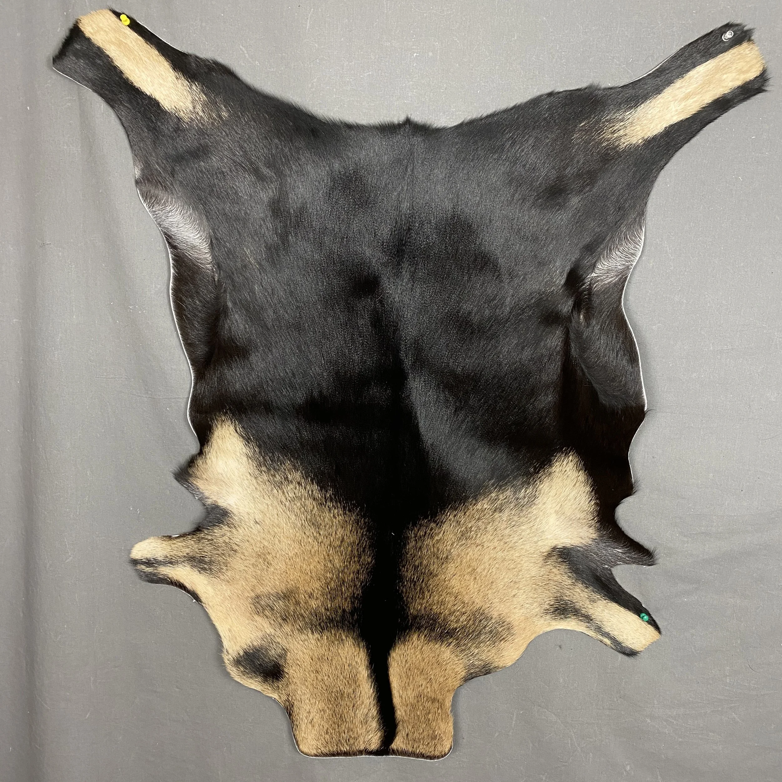 Goat Hides for Sale — Claw, Antler & Hide Co.