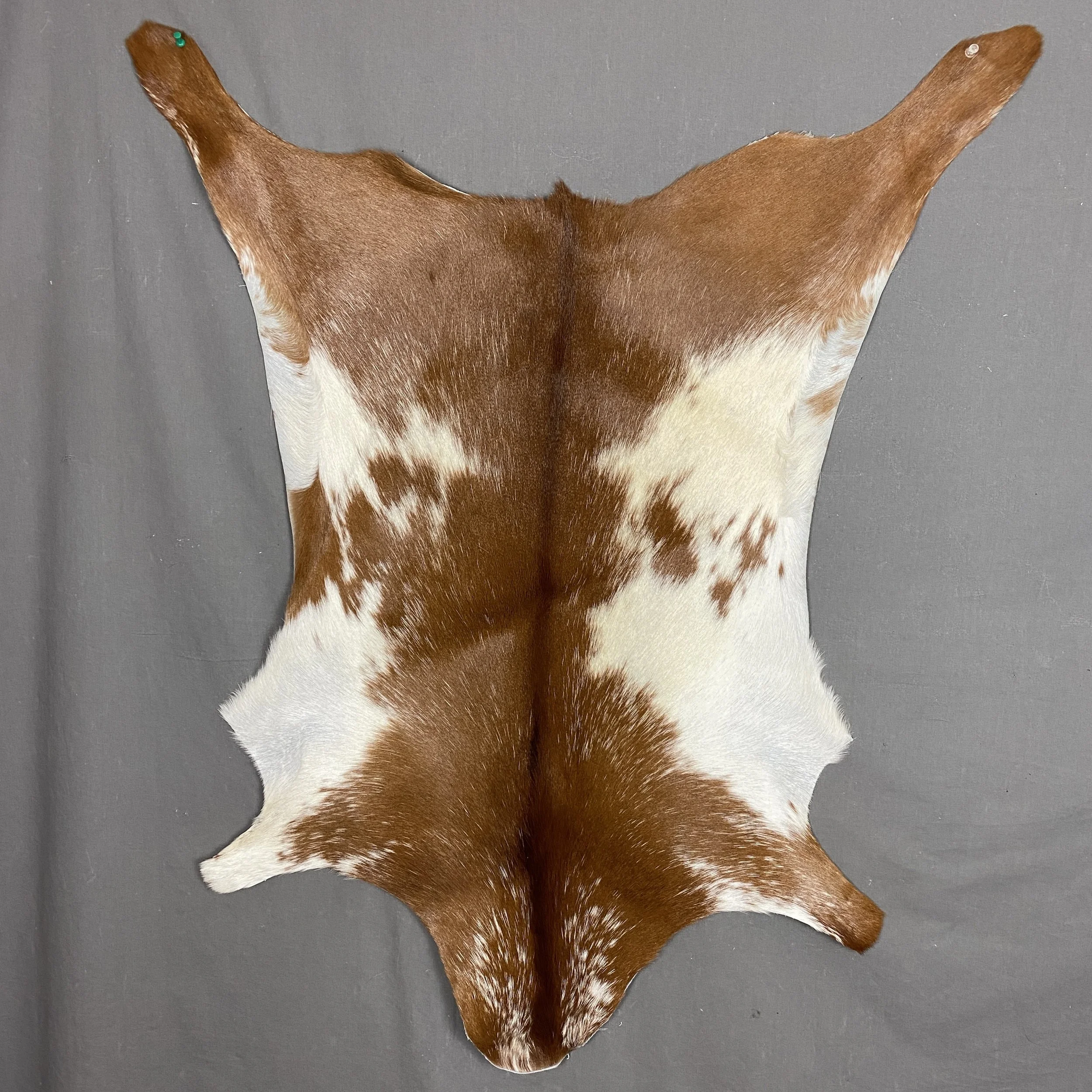 Goat Hides for Sale — Claw, Antler & Hide Co.