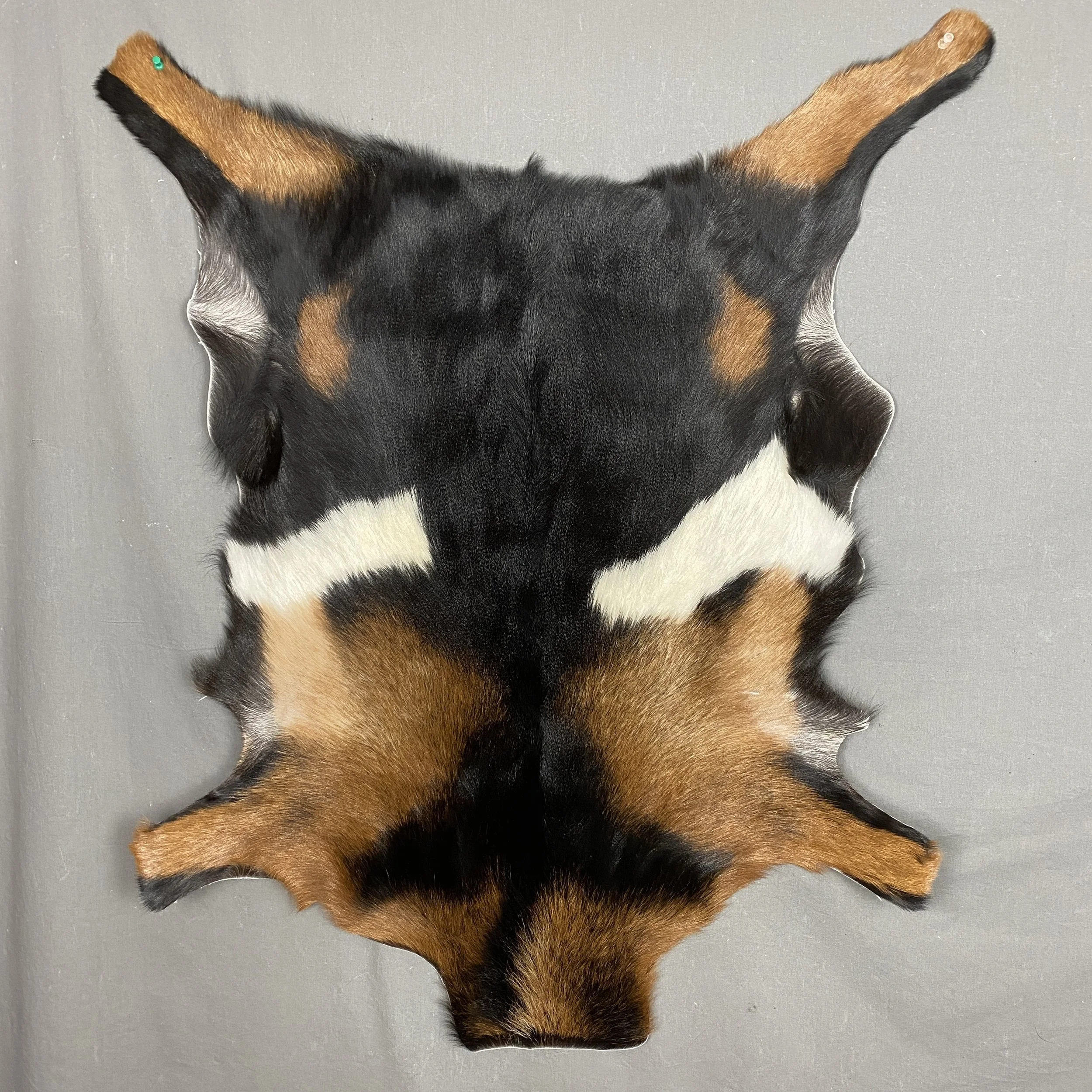 Goat Hides for Sale — Claw, Antler & Hide Co.