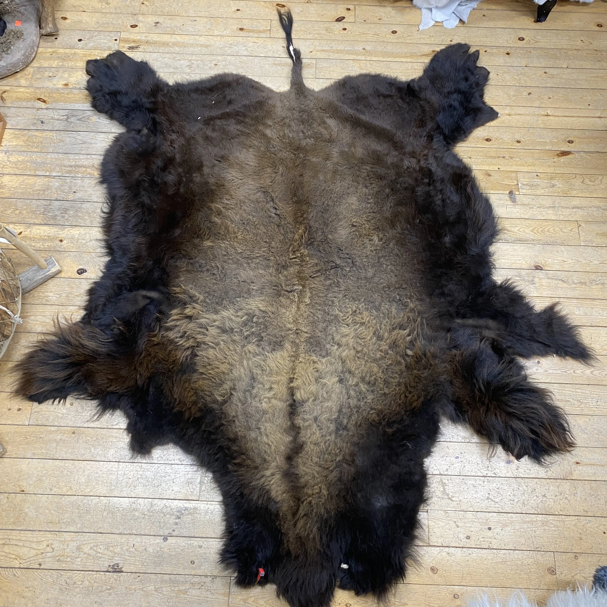 Buffalo Hides — Claw, Antler & Hide Co.