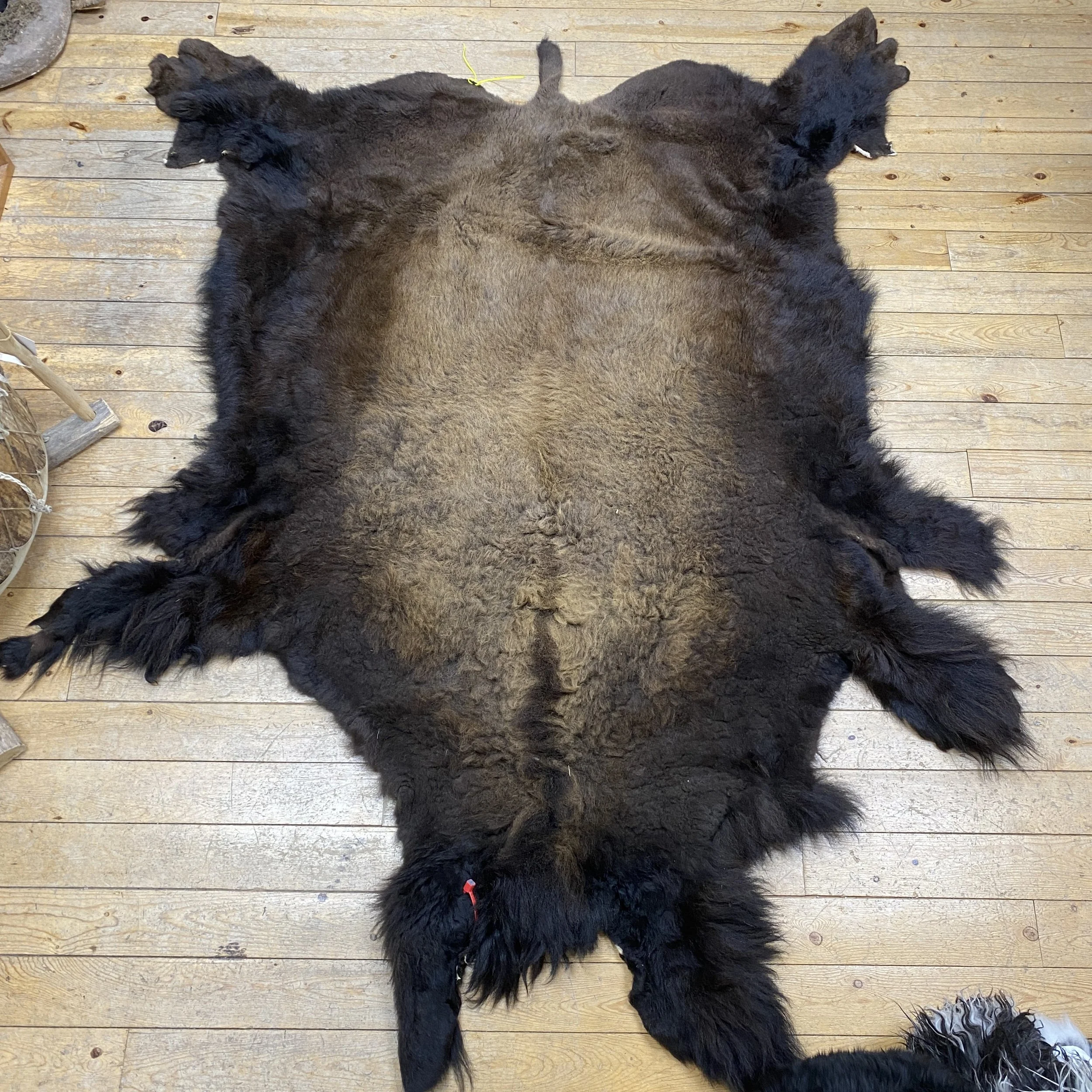 Buffalo Hides — Claw, Antler & Hide Co.