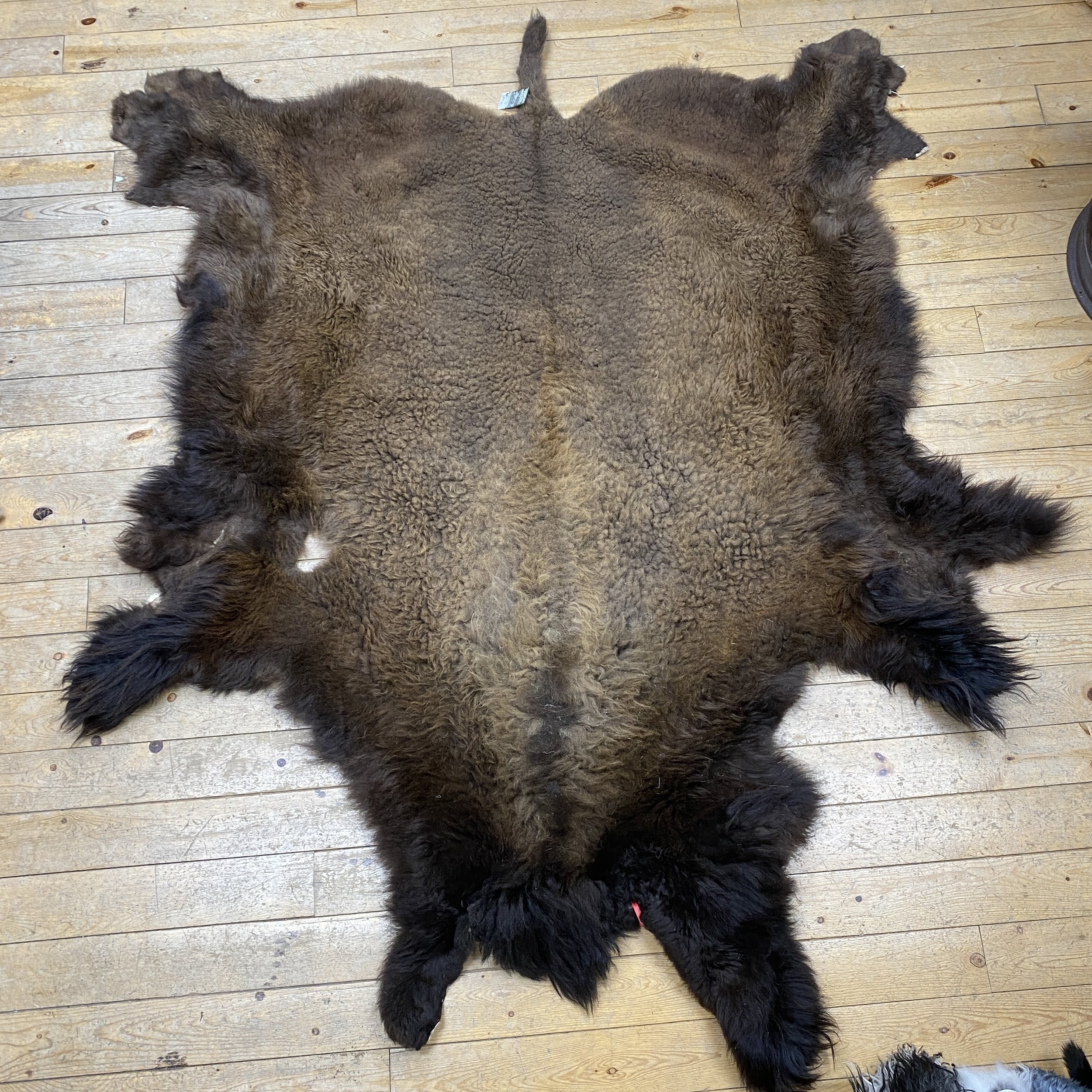 Buffalo Hides — Claw, Antler & Hide Co.