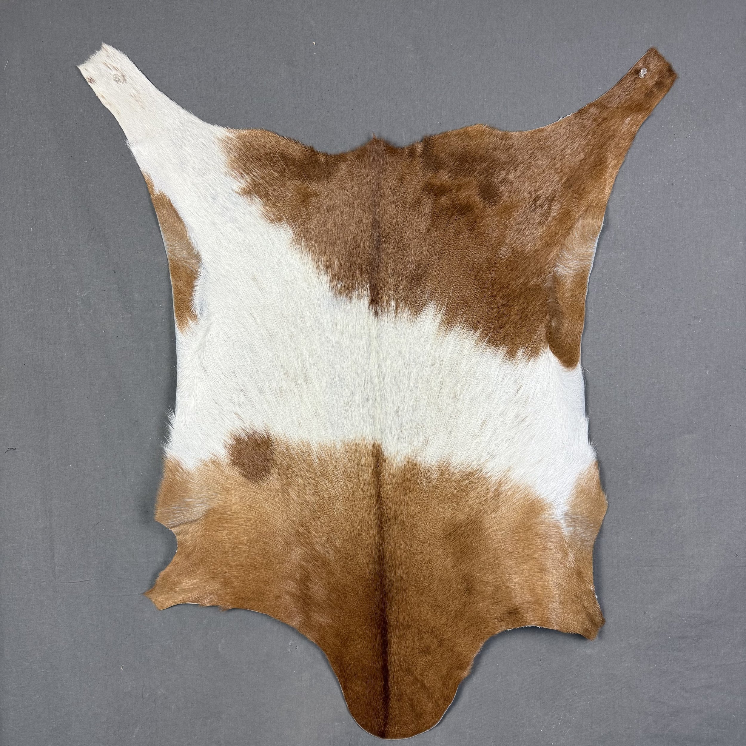 Goat Hides for Sale — Claw, Antler & Hide Co.