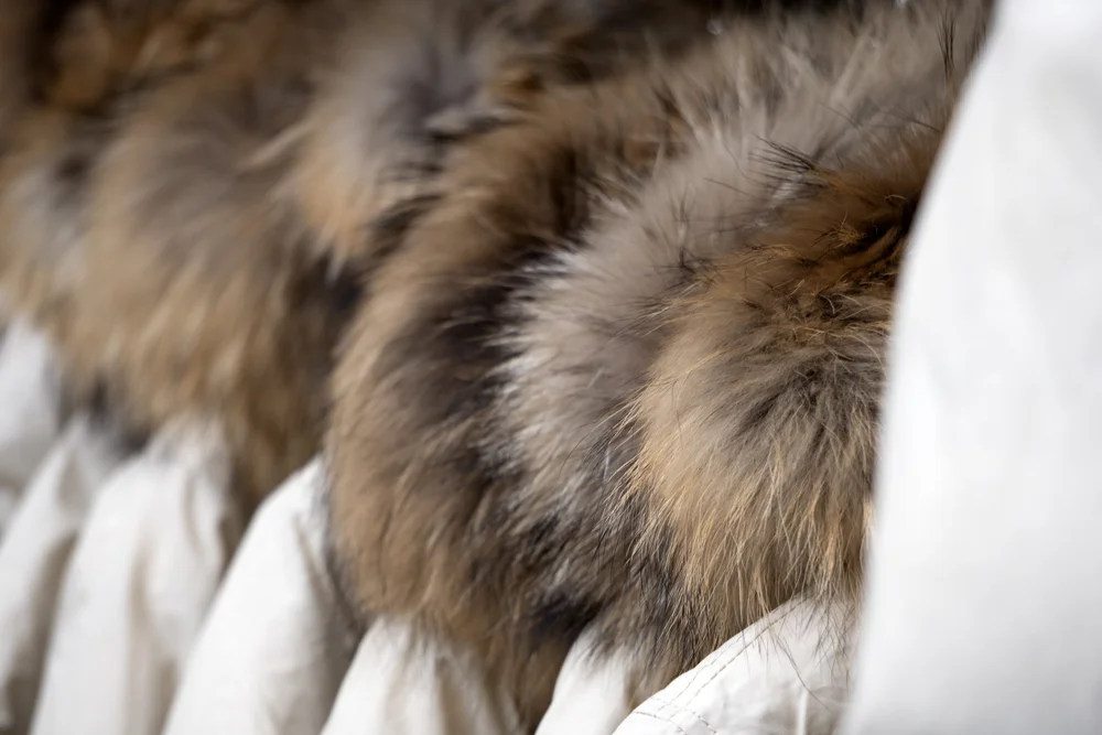 Uses for Fox Pelts — Claw, Antler & Hide Co.