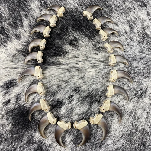 Bear Claw Art & Jewelry — Claw, Antler & Hide Co.