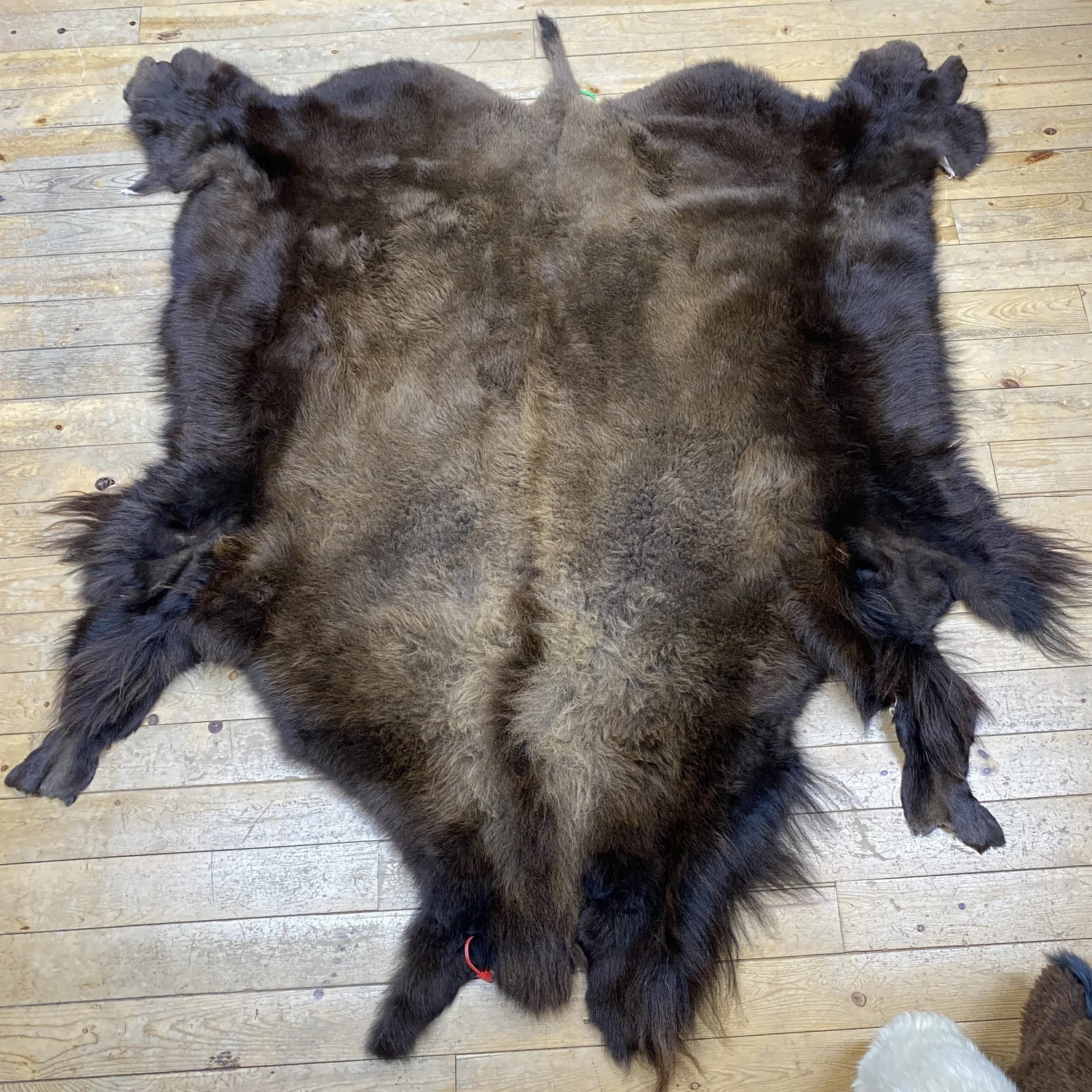 Buffalo Hides — Claw, Antler & Hide Co.