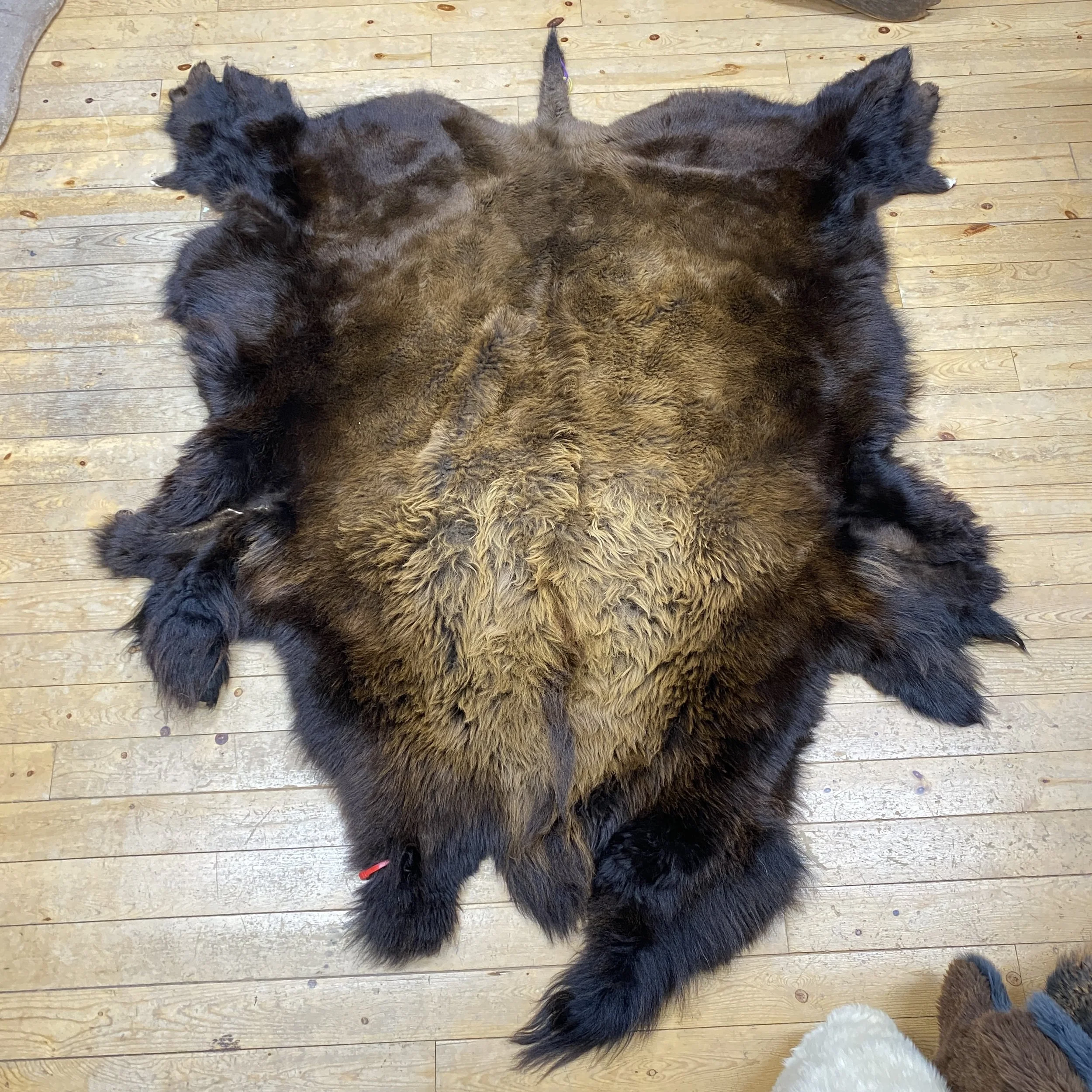 Buffalo Hides — Claw, Antler & Hide Co.