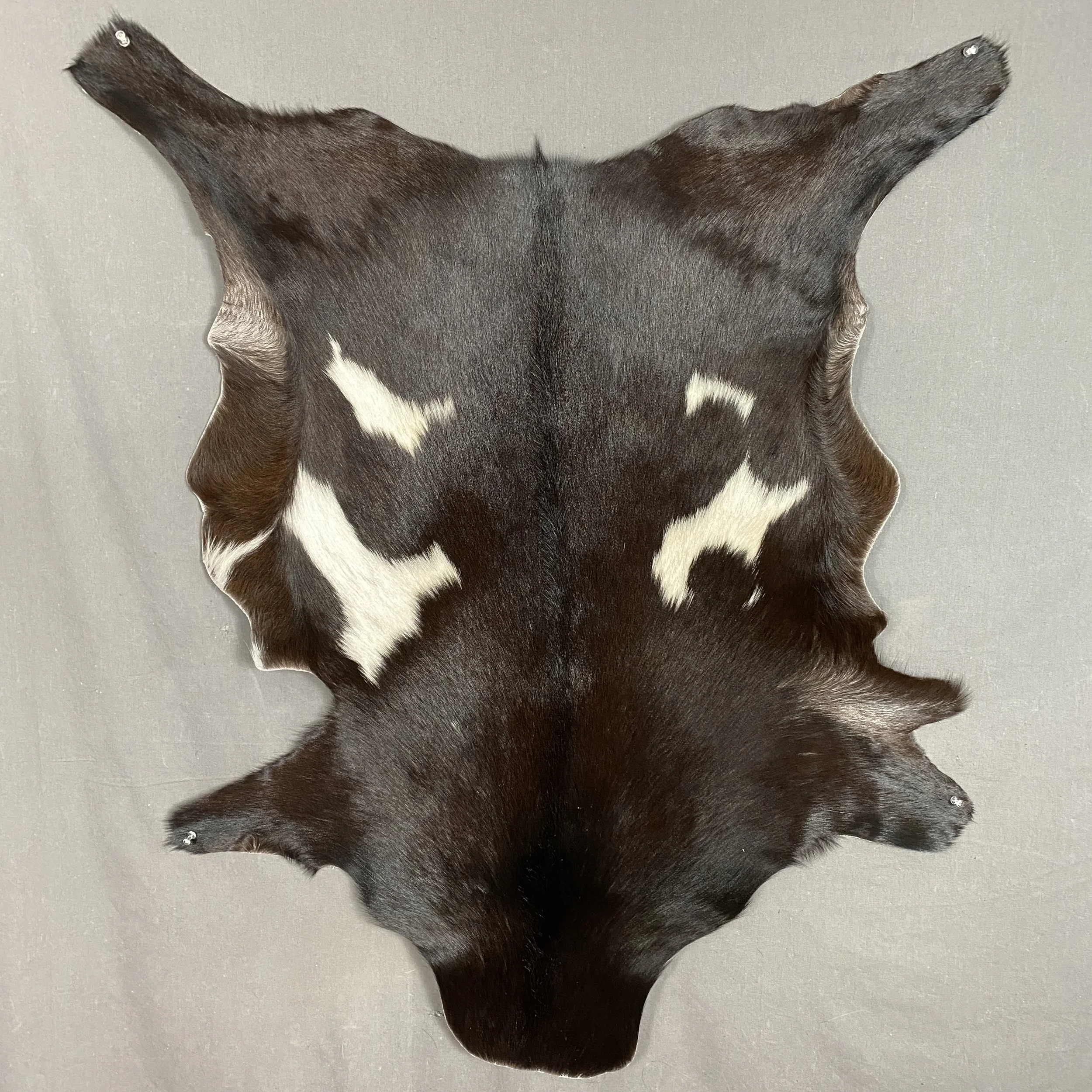 Goat Hides for Sale — Claw, Antler & Hide Co.