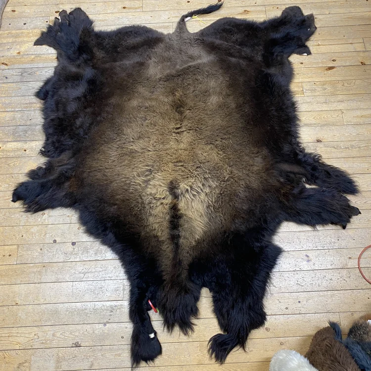 Buffalo Hides — Claw, Antler & Hide Co.