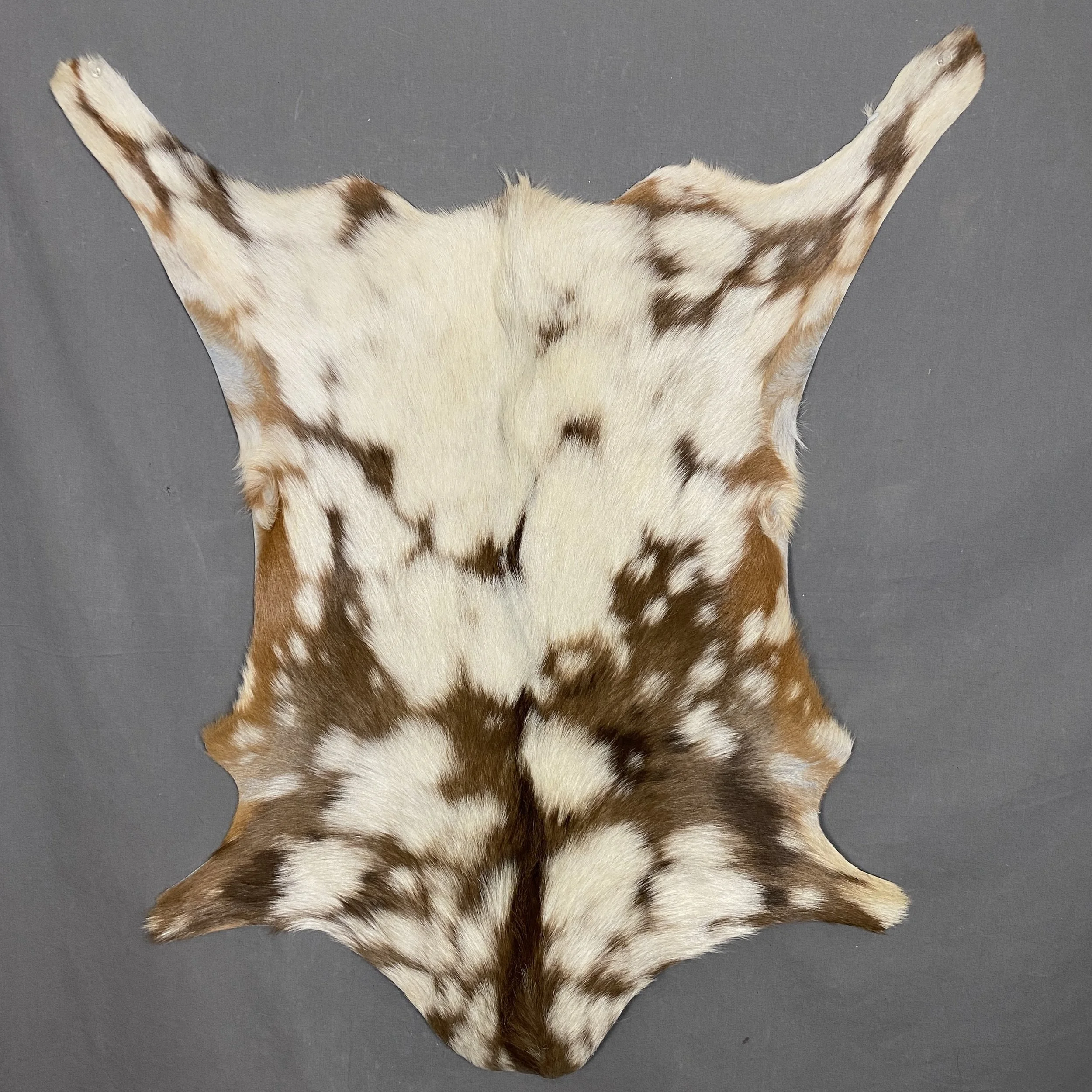 Goat Hides for Sale — Claw, Antler & Hide Co.