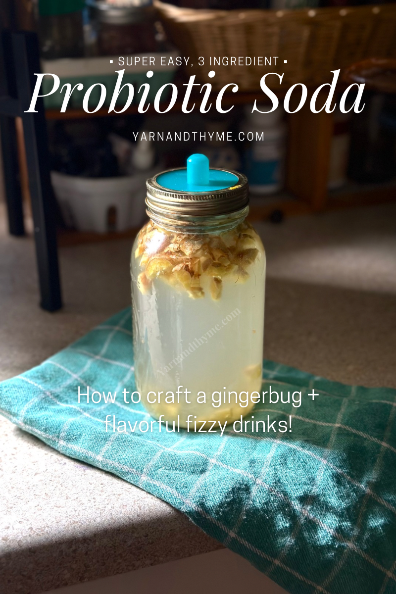 How to Make Ginger Bug Soda: A Simple, Probiotic Fermented Drink — Yarn ...